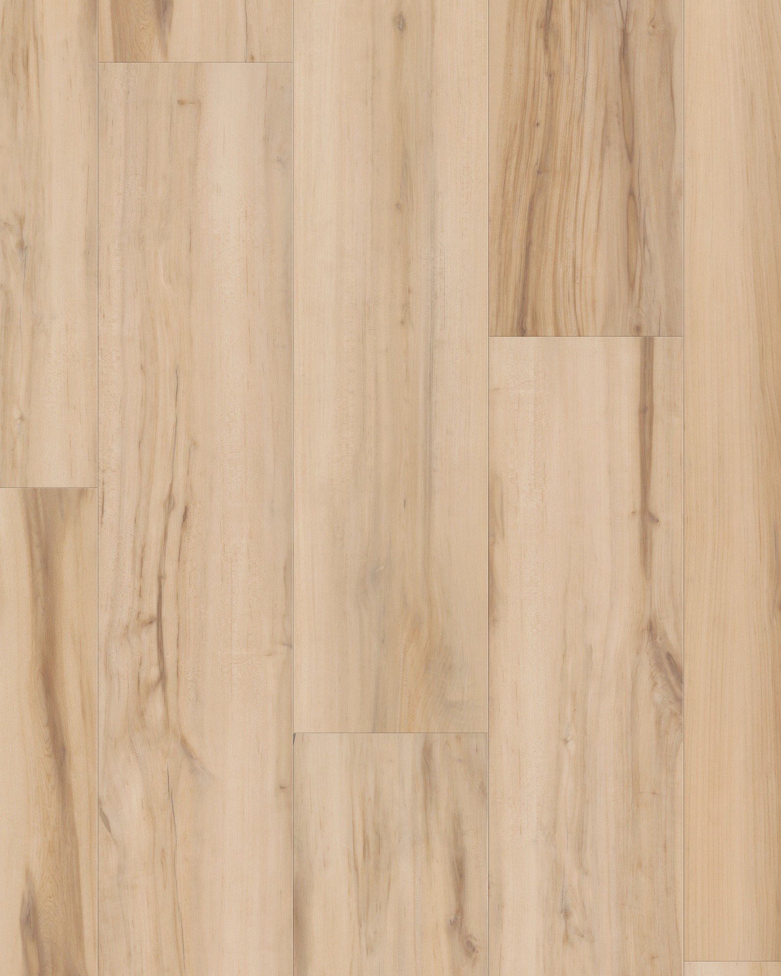 Shaw Fresh Take Butterfly White Luxury Vinyl | Carpet Exchange