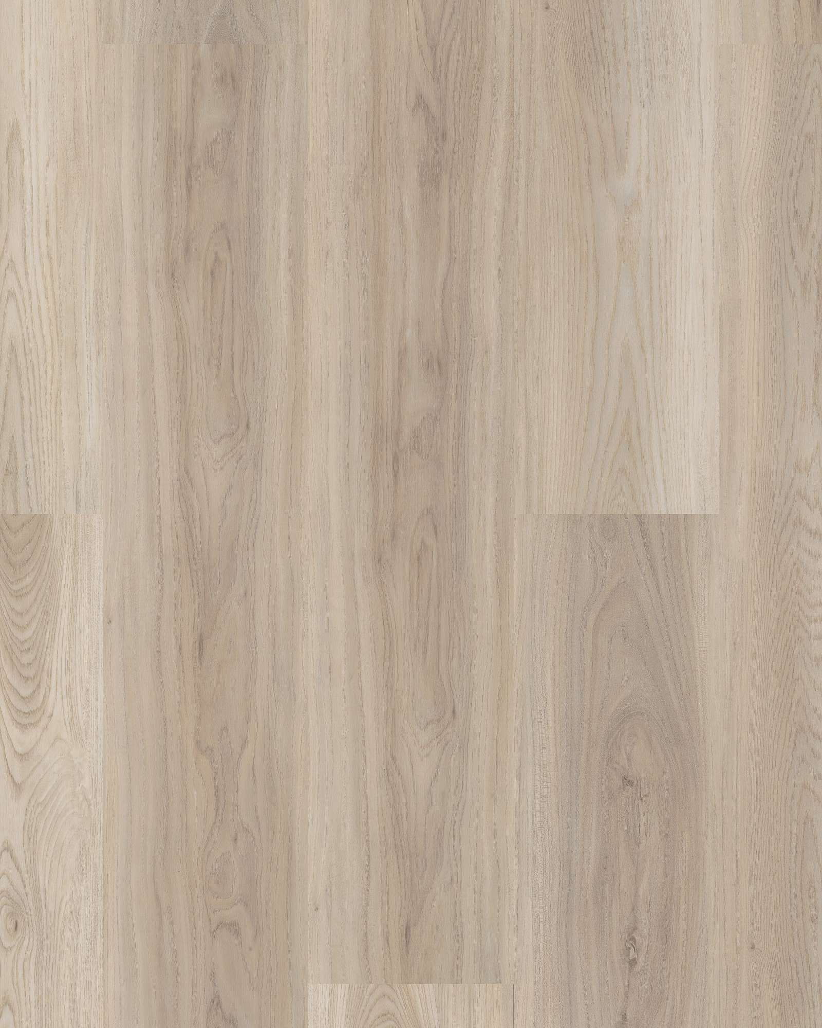 Shaw Paramount 512C Plus Lighthouse | Carpet Exchange