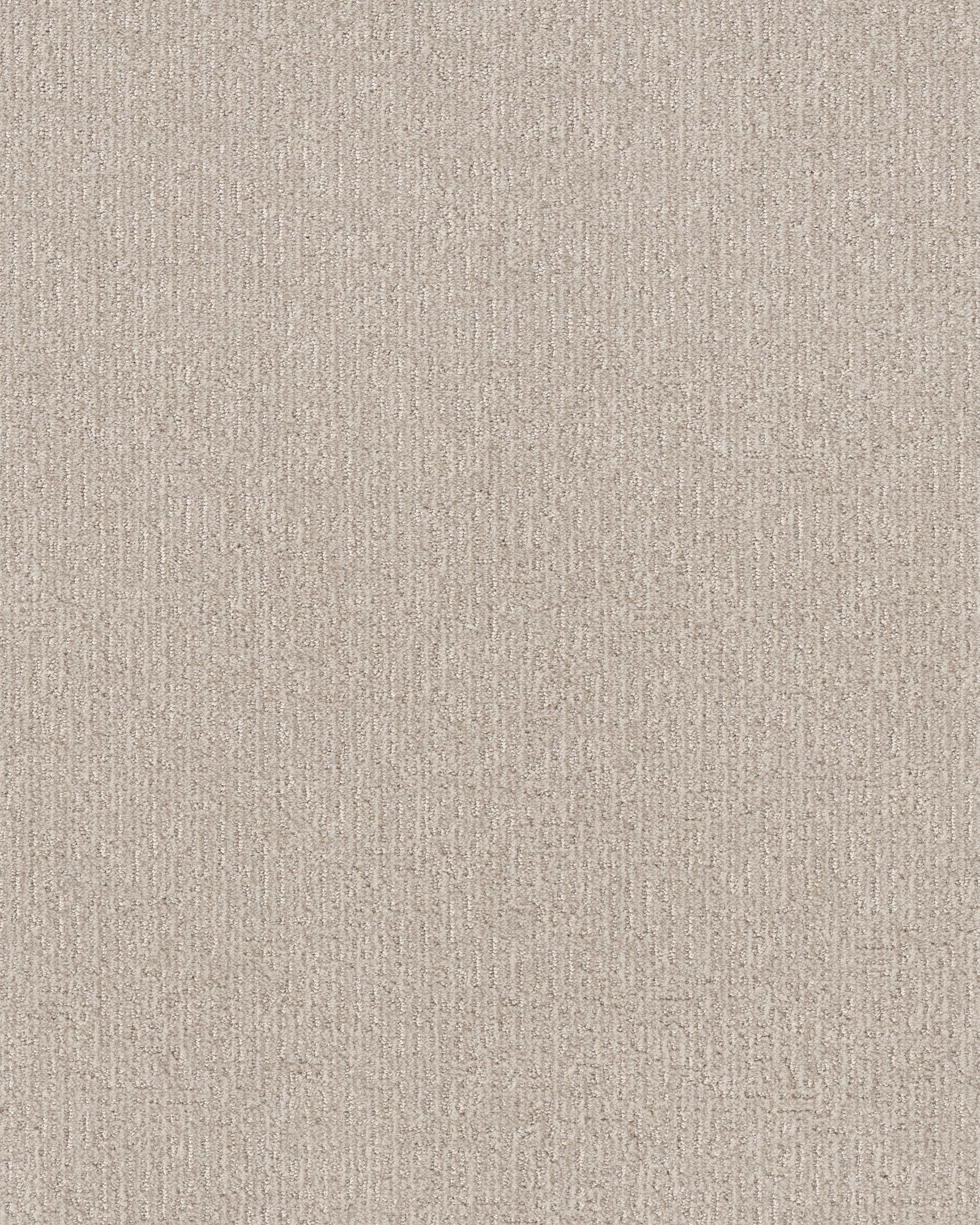Shaw Gifted Allure Almond Silk Textured | Carpet Exchange
