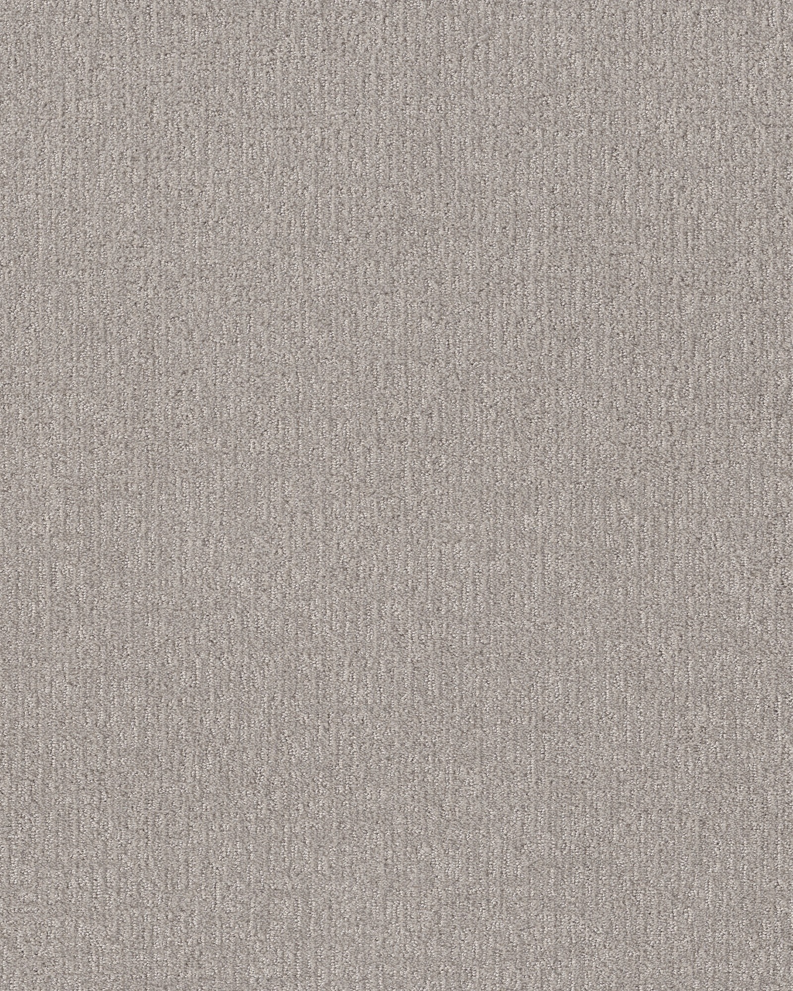 Gifted Allure Sculpture Carpet