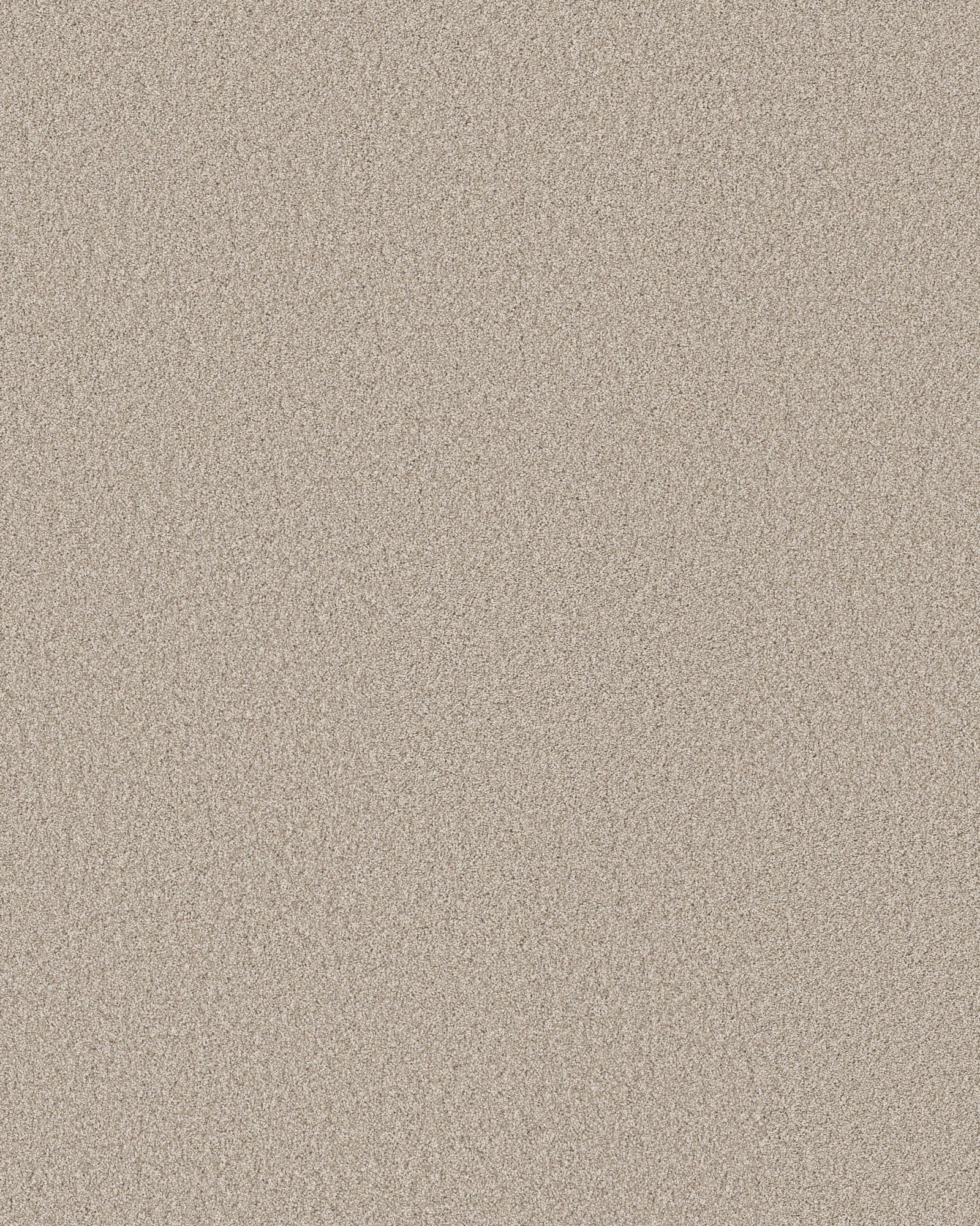 Pawsitive T Beige Mist Pet Friendly Textured 40oz Carpet