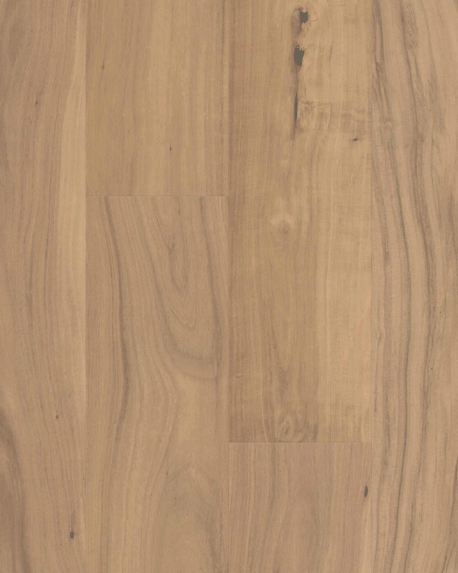 CALI Varientals Clarified Acacia 7.5" Hardwood | Carpet Exchange