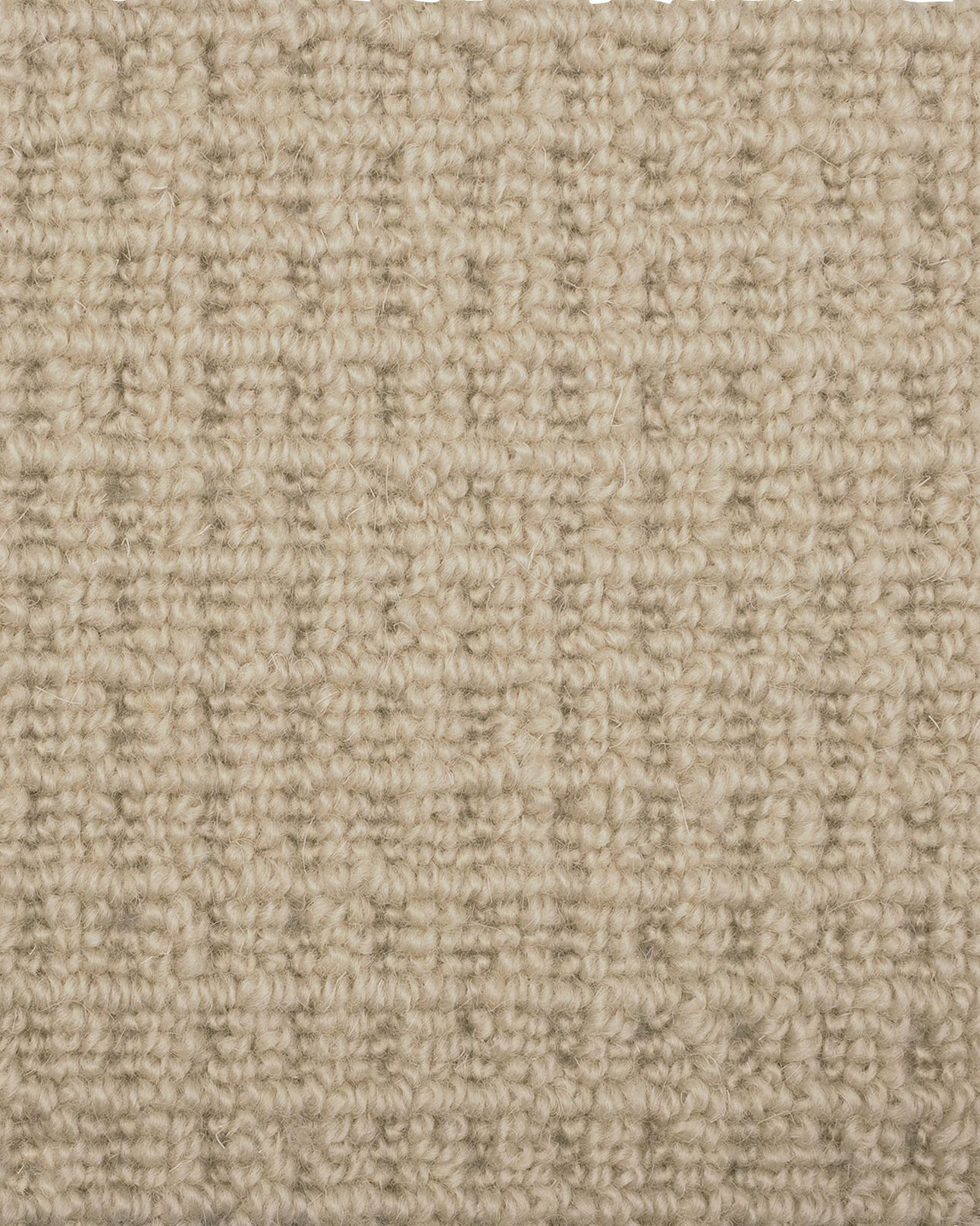 Godfrey Hirst Glen Abbey II Thatch | Carpet Exchange