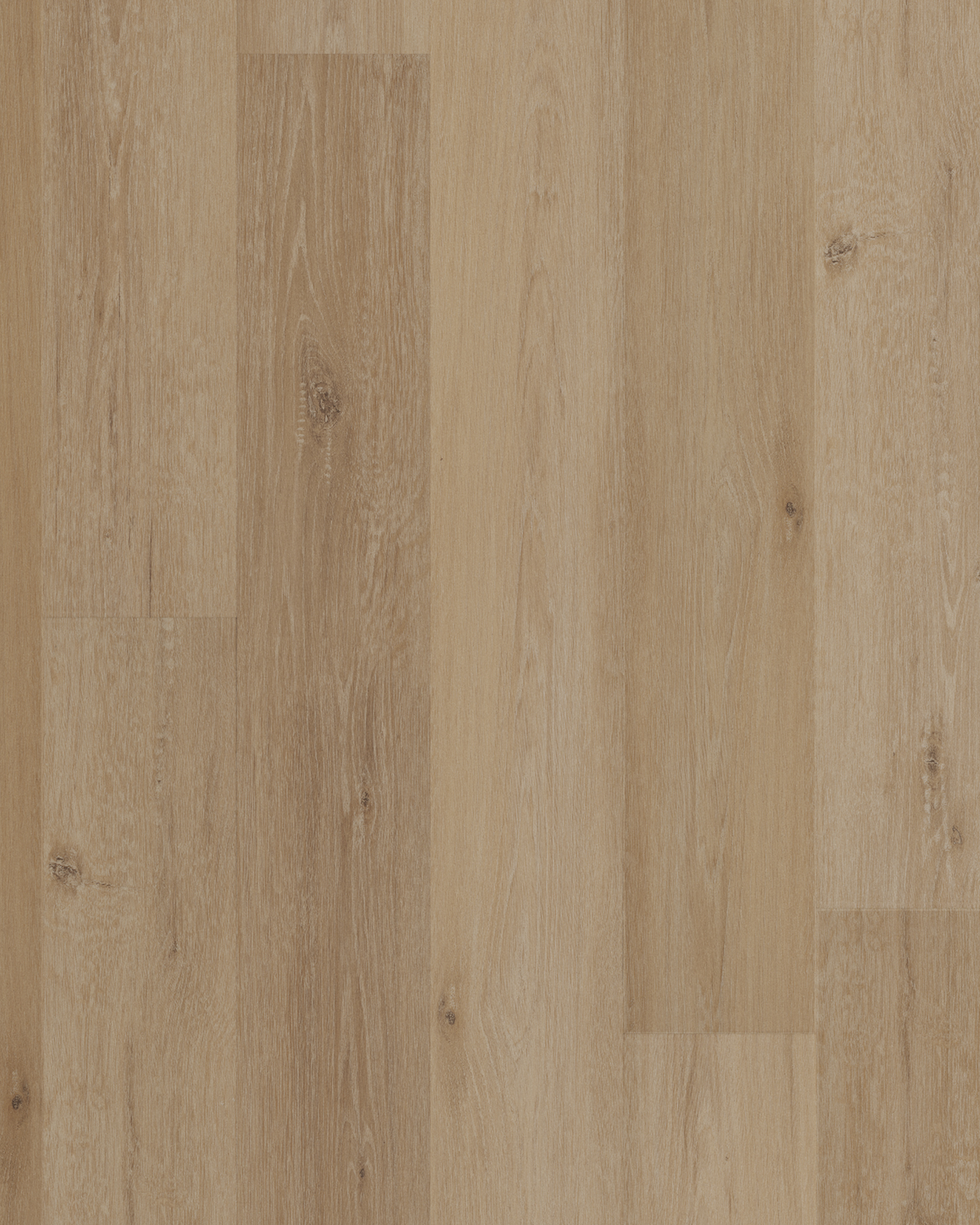 Adura Flex Plank Regency Oak Polished Platinum | Carpet Exchange