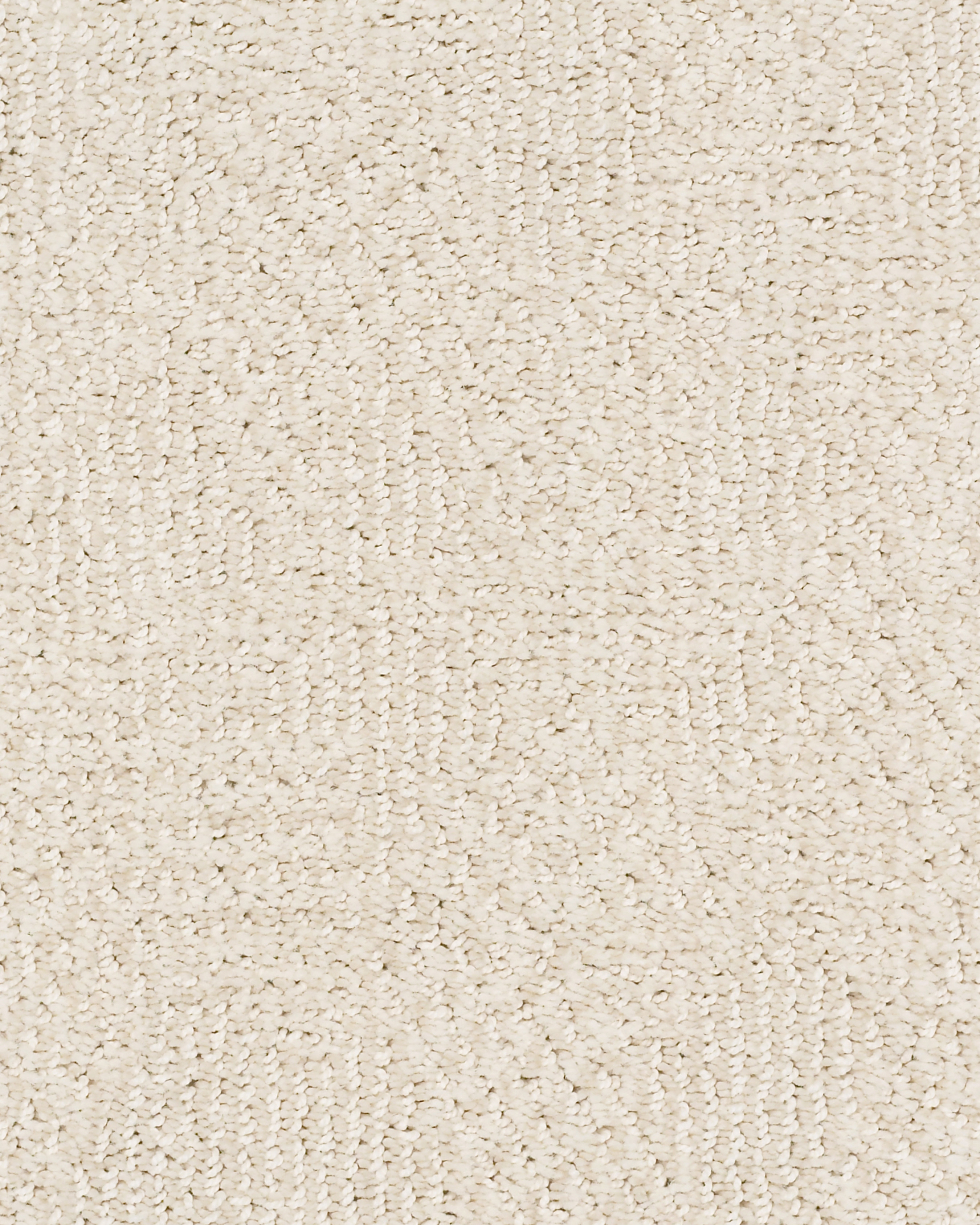 Anderson Tuftex Ario Haven | Carpet Exchange