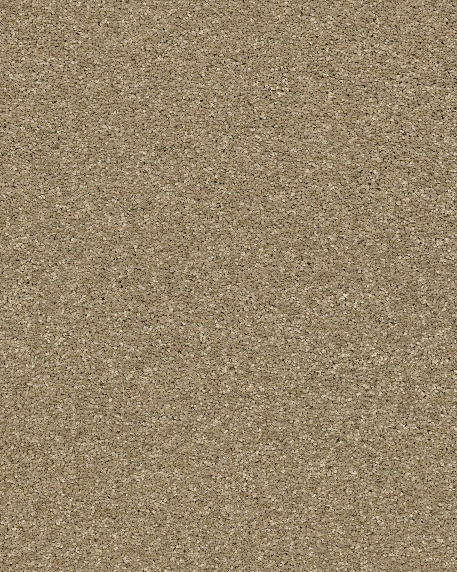 Shaw E9639 Basic Rules Gold Rush | Carpet Exchange