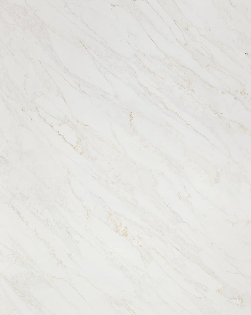 MSI Calacatta Premata - Quartz Countertop | Carpet Exchange