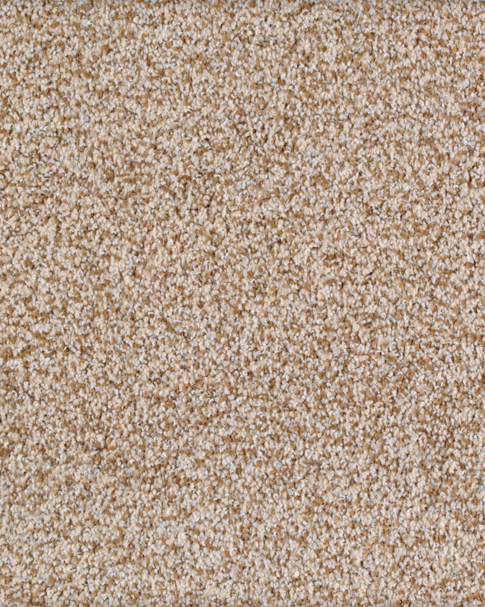 Karastan K8907 Calm Retreat Sapling | Carpet Exchange