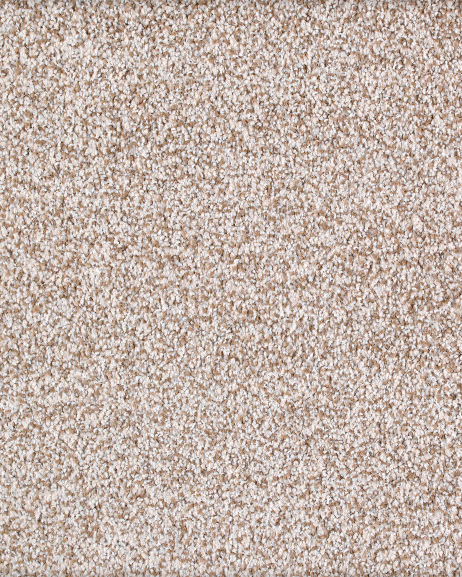 Karastan K8907 Calm Retreat Utopia | Carpet Exchange