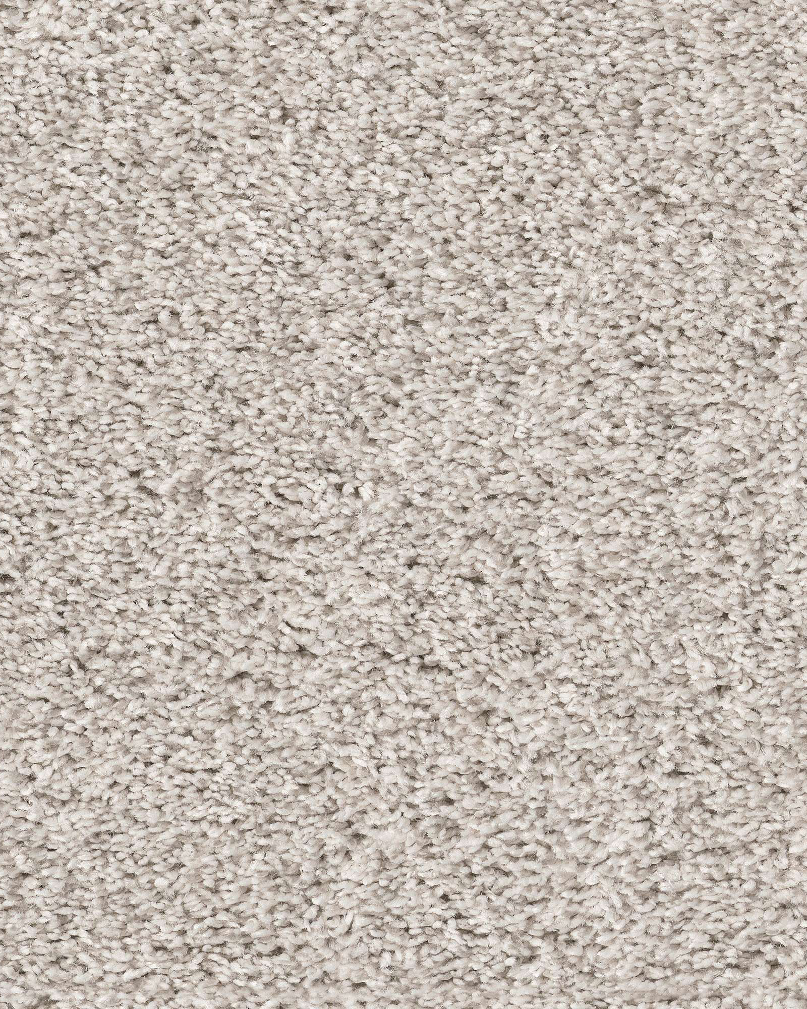 Shaw Calm Serenity I Textured 43oz | Carpet Exchange