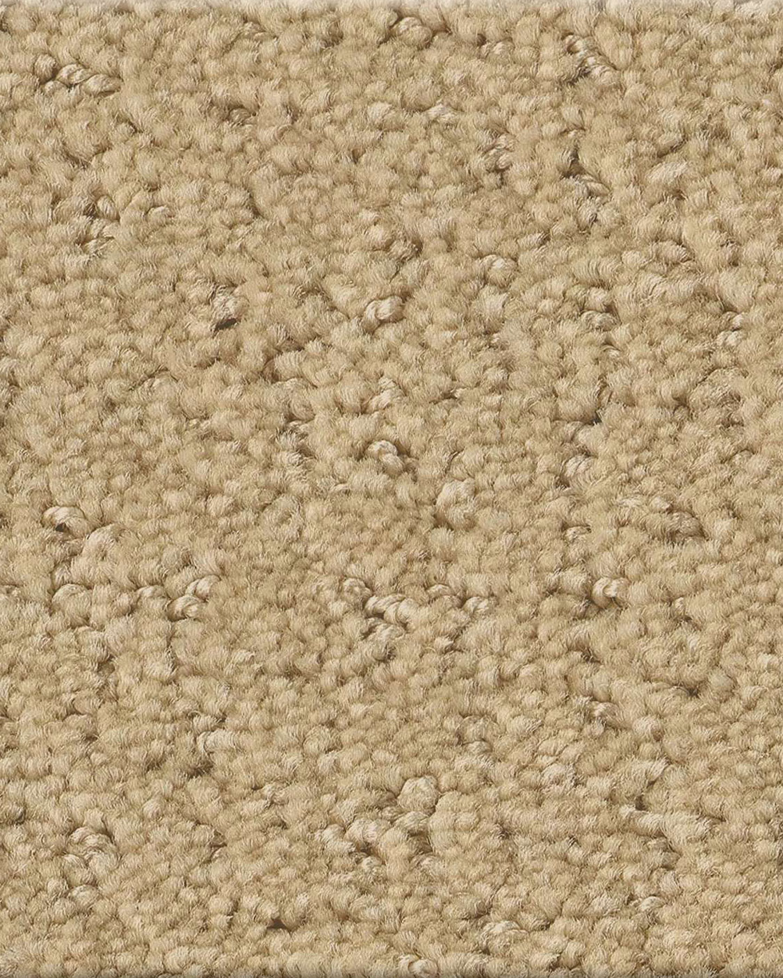 Shaw Canvas Comfort Blue Hello Sunshine | Carpet Exchange