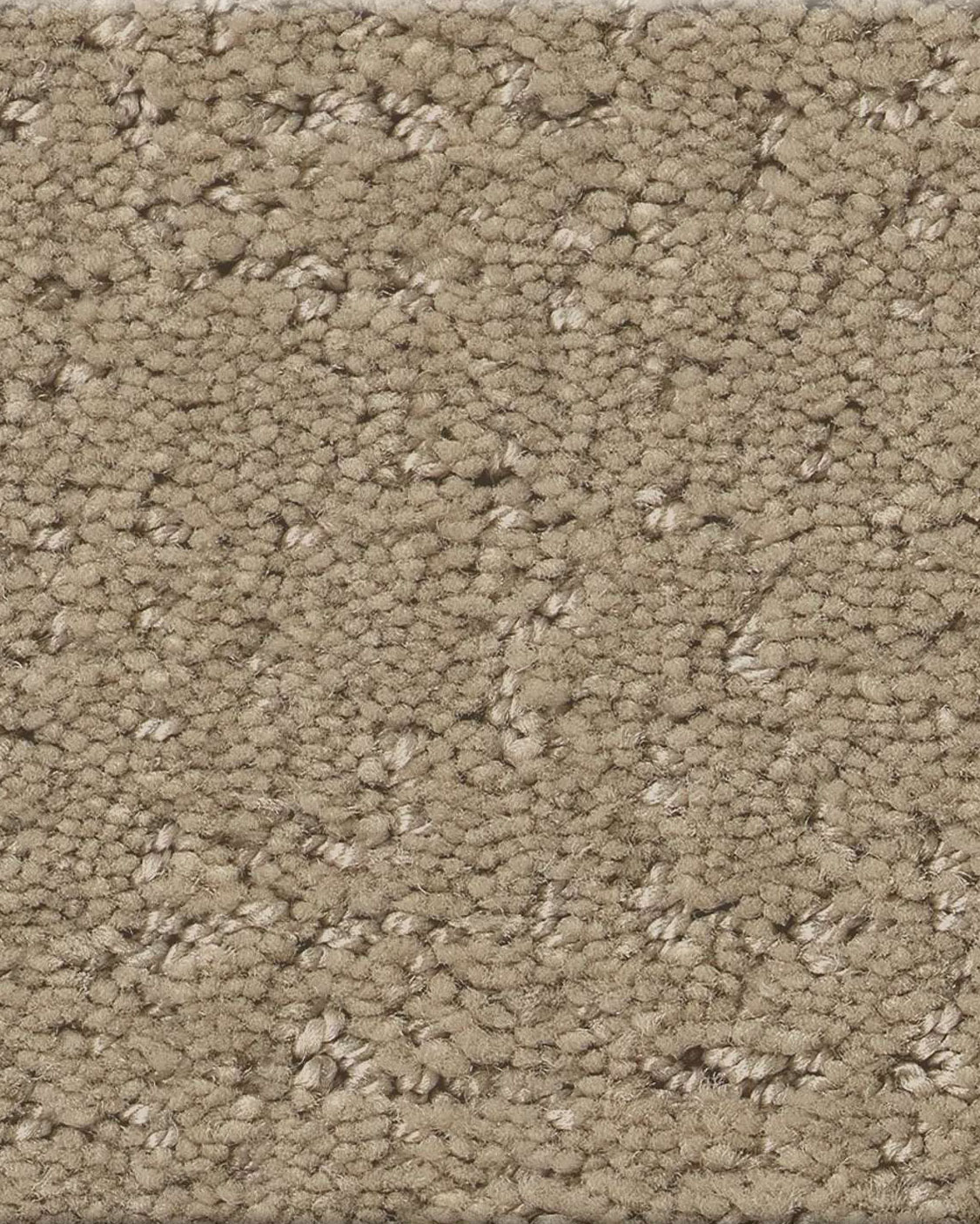 Shaw Canvas Comfort Blue Honey Tea | Carpet Exchange