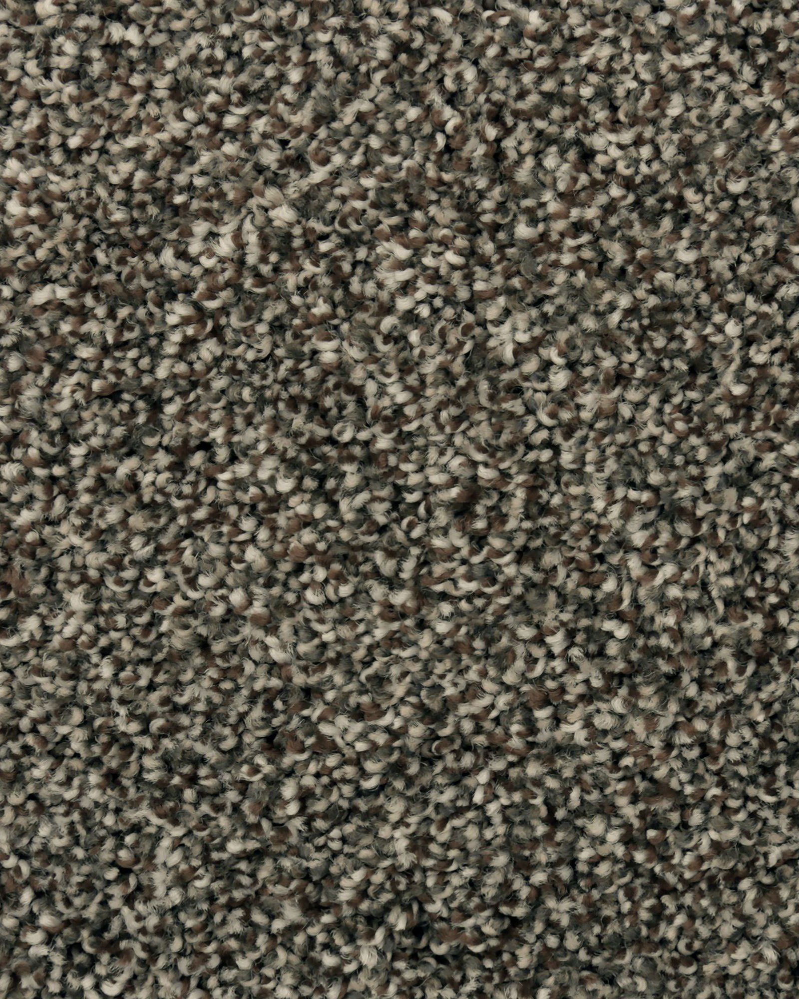Karastan Captivating Grace Universal Umber | Carpet Exchange