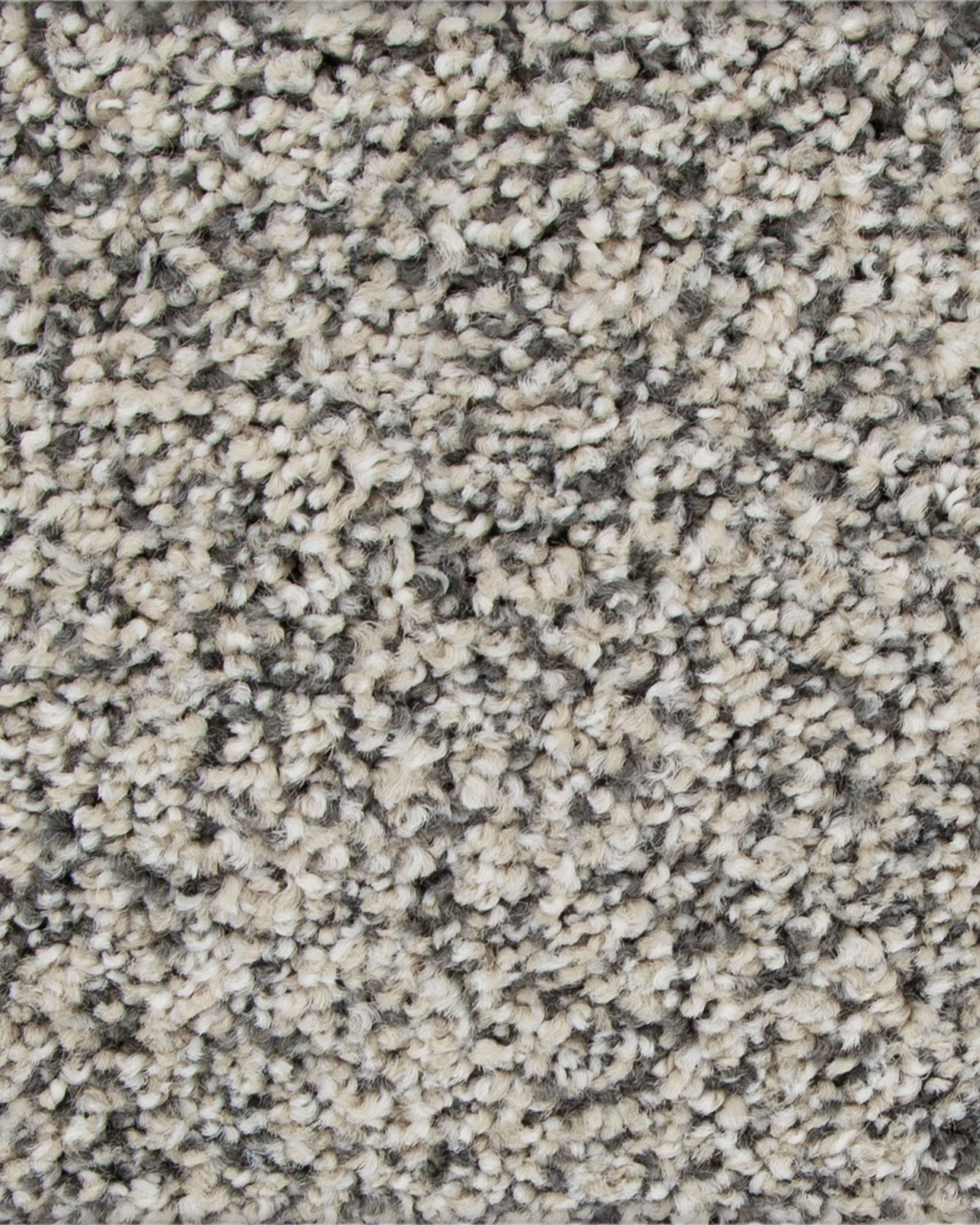 Karastan Captivating Presence Champagne | Carpet Exchange