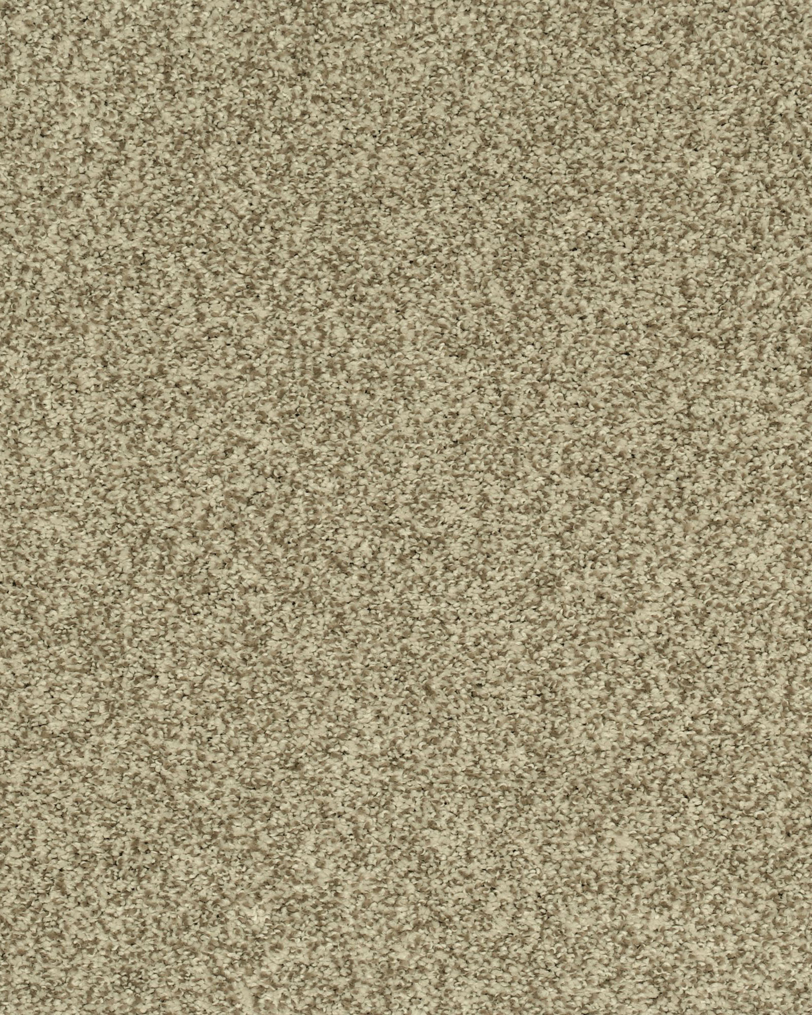 Cherished Tradition Mountain Ledge | Carpet Exchange