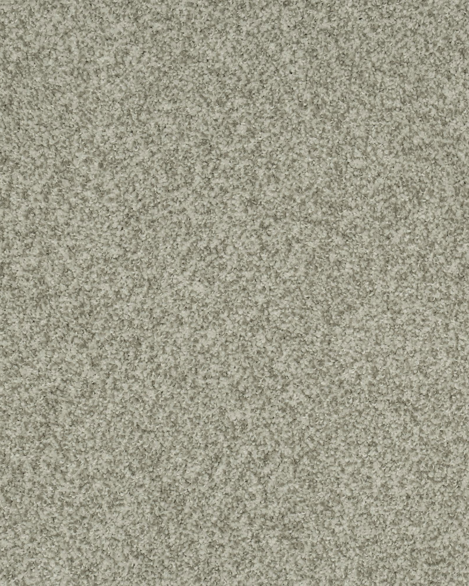 Cherished Tradition Stepping Stone | Carpet Exchange