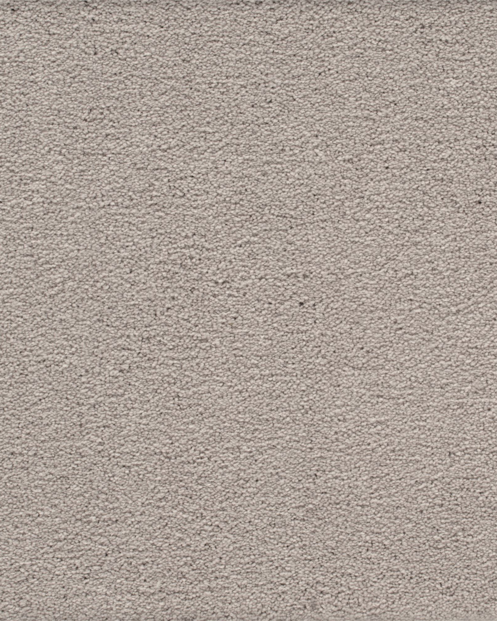 Karastan Classical Approach Graycloth | Carpet Exchange