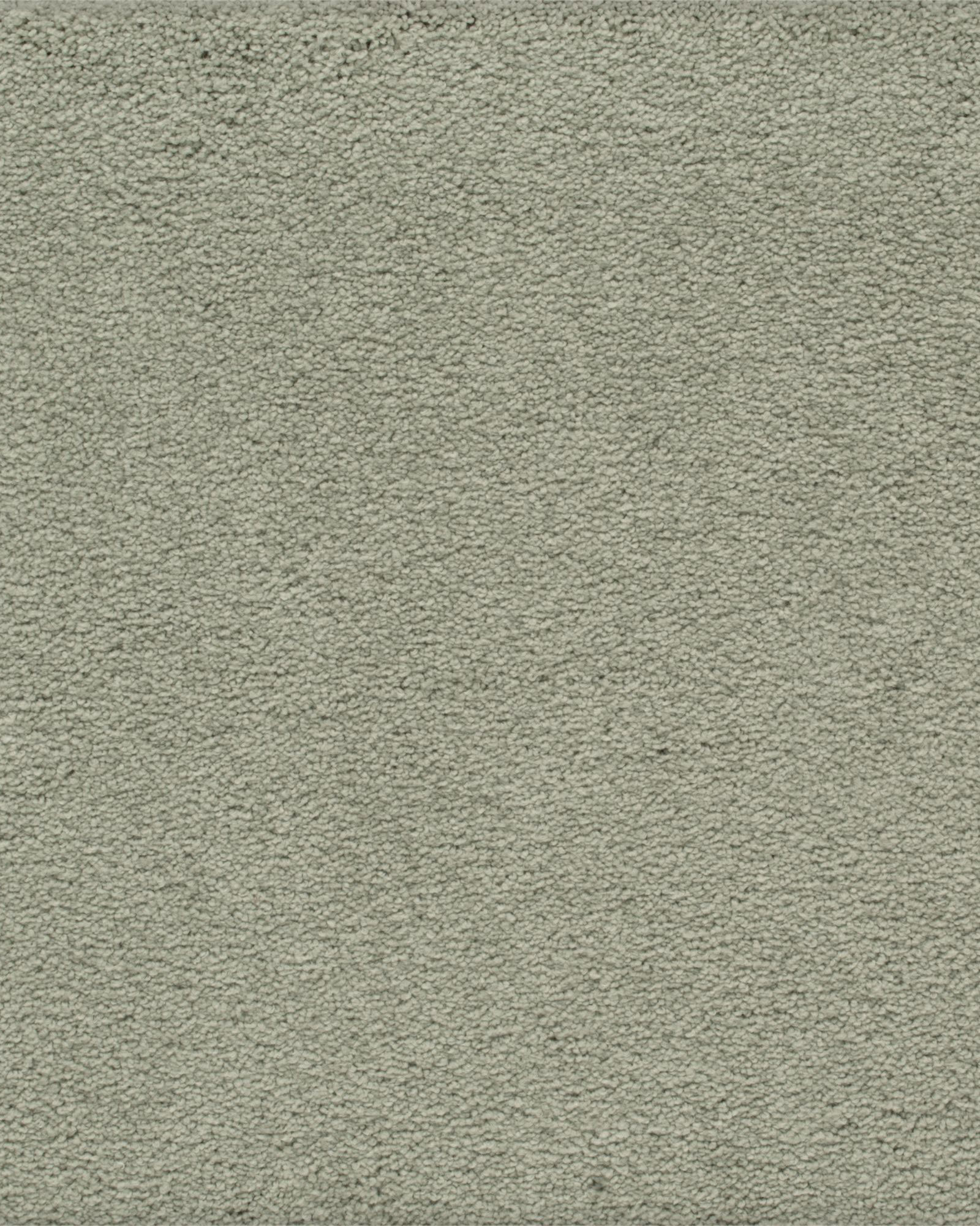 Karastan Classical Approach Sage Brush | Carpet Exchange