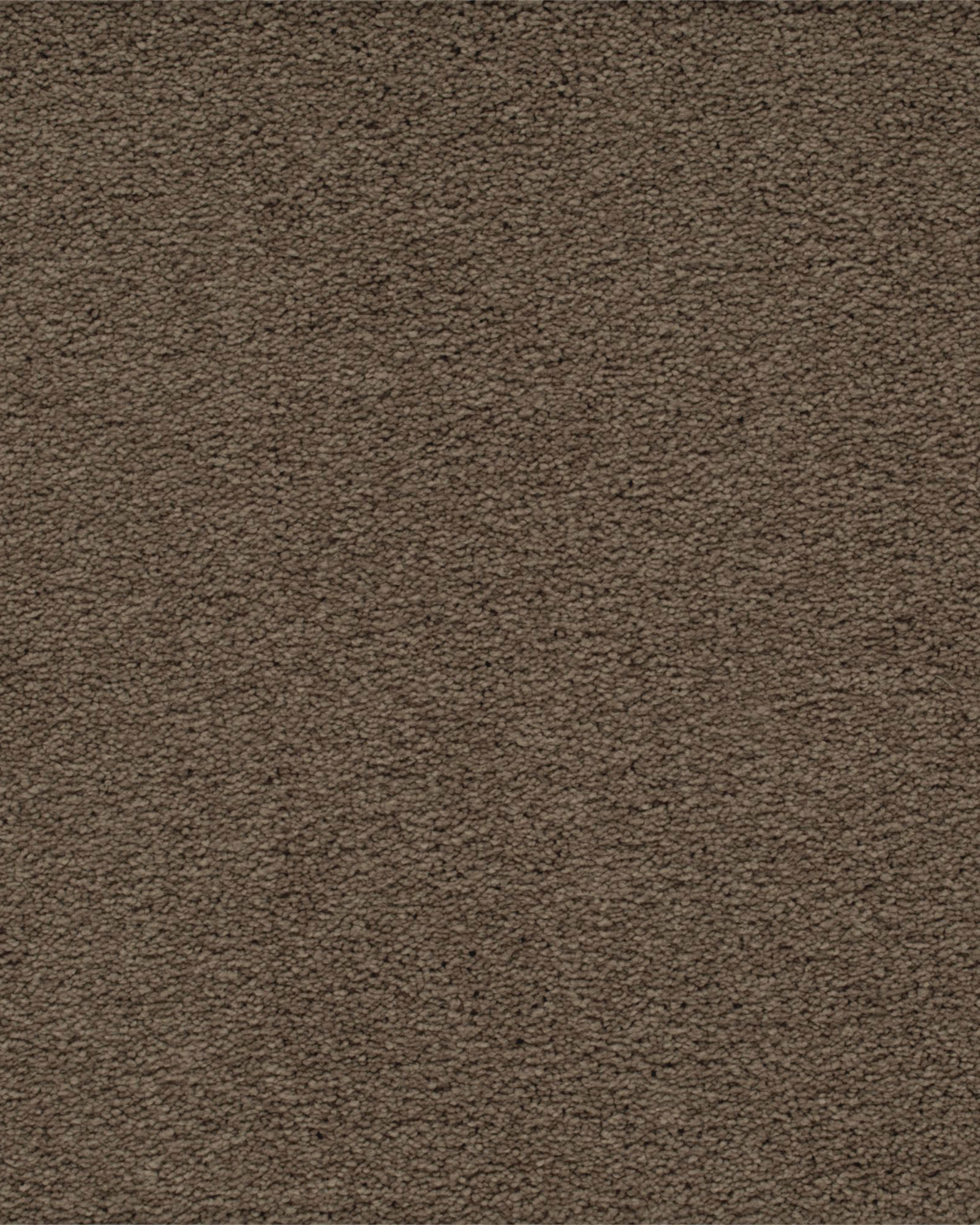 Karastan Classical Approach Tapestry | Carpet Exchange