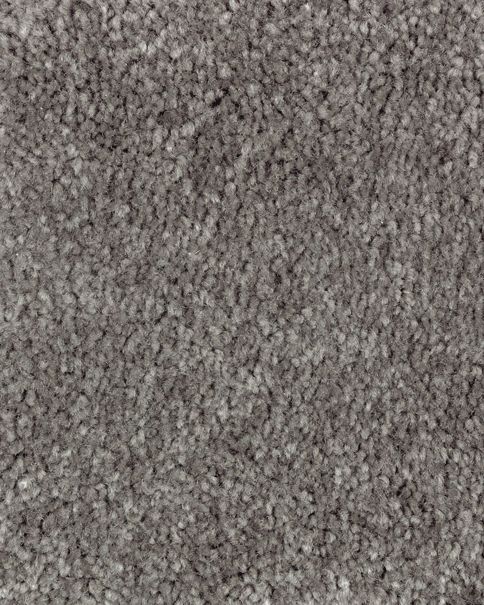 Mohawk Clever Fashion II British Fog | Carpet Exchange