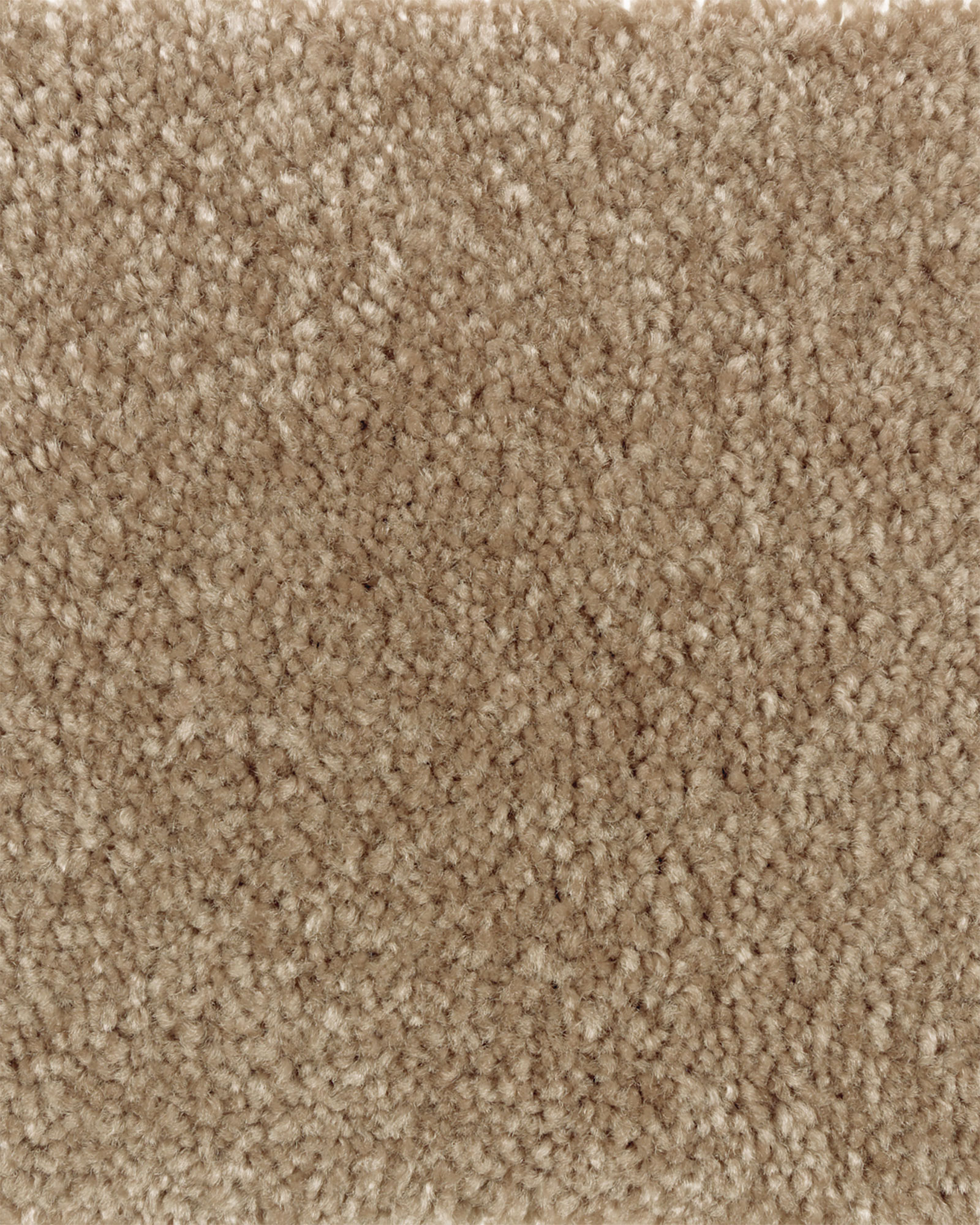 Mohawk Clever Fashion III Desert Mud | Carpet Exchange