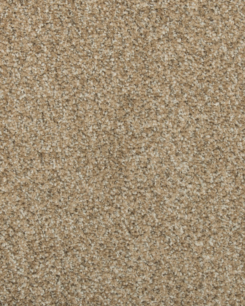 Mohawk Colorful Mix II 832 - Carpet | Carpet Exchange