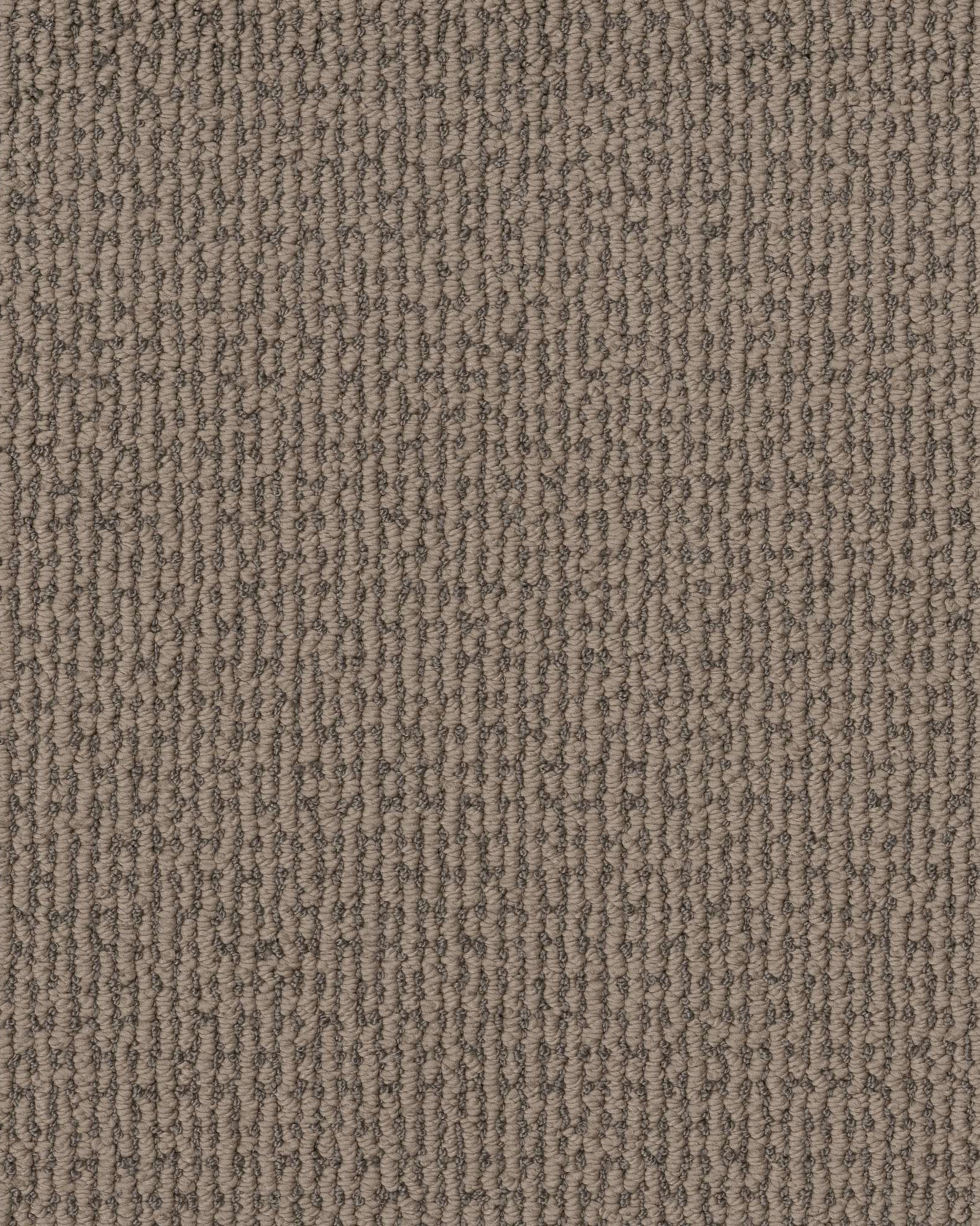 Shaw 5E455 Crafted Embrace Raw Wood| Carpet Exchange
