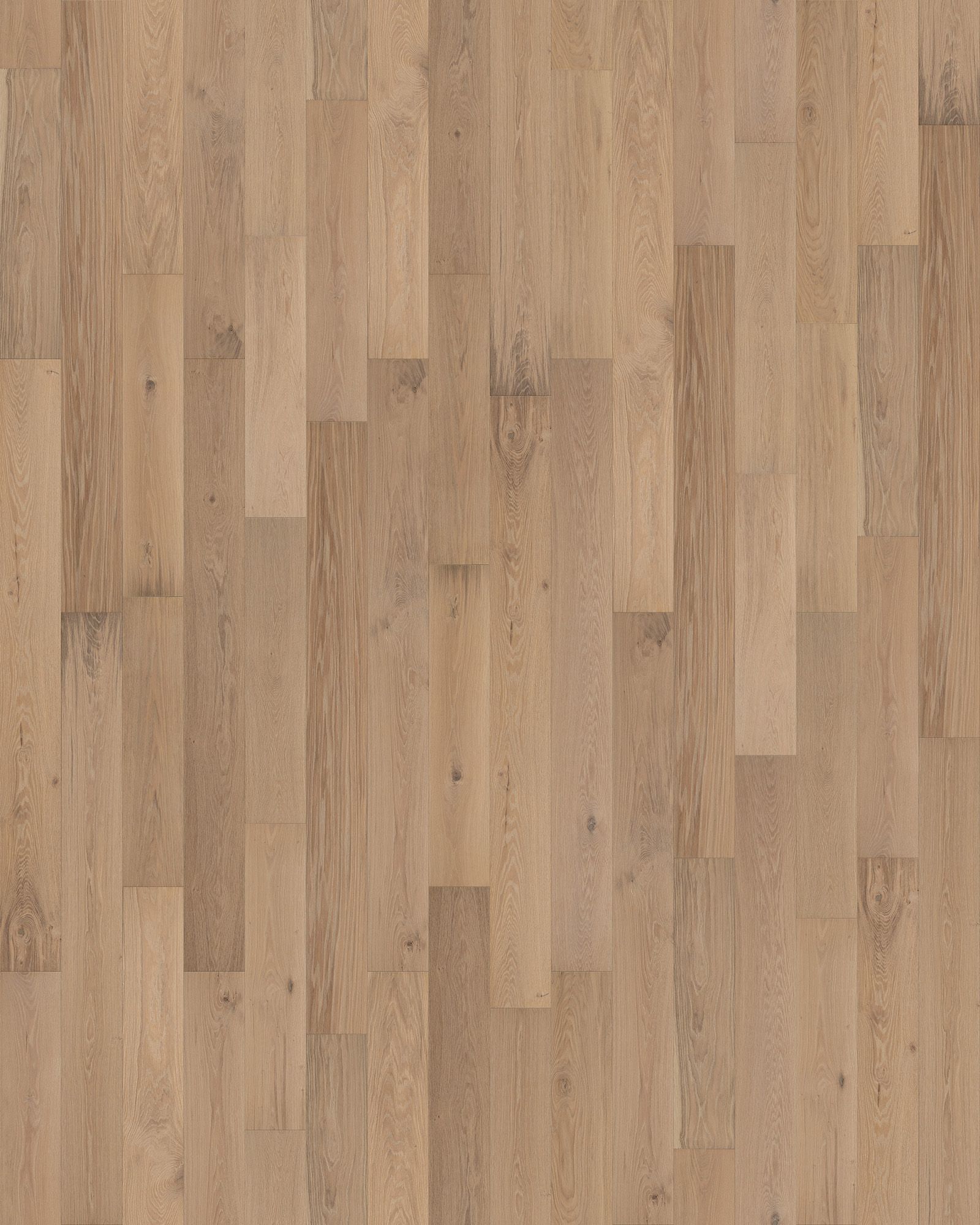 CALI Hardwood Barrel Sonoma Salt Oak | Carpet Exchange