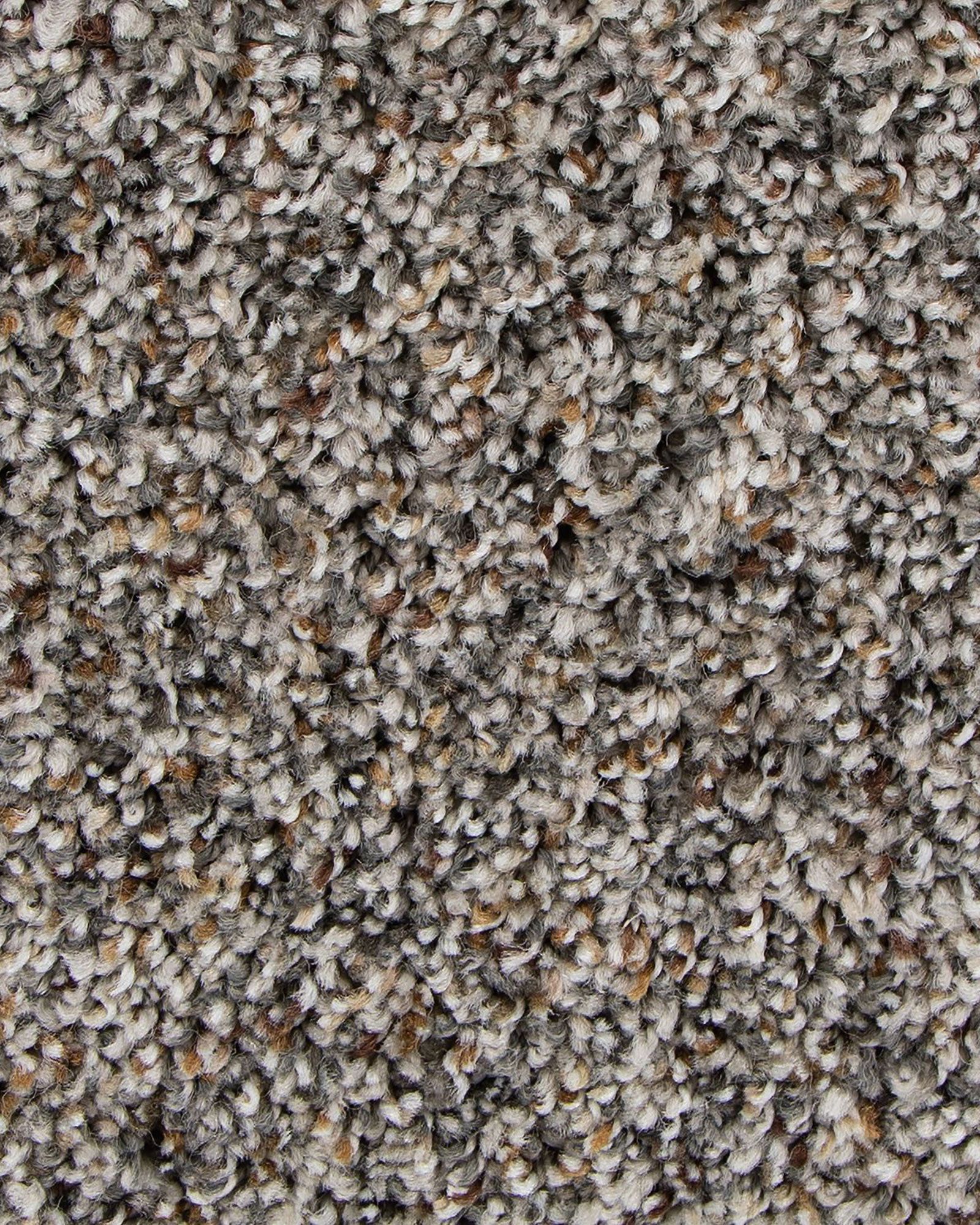 Mohawk Admirable Harmony Winter Ash | Carpet Exchange
