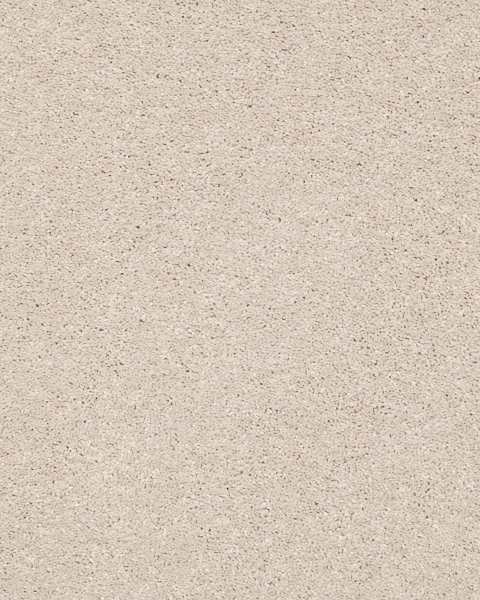 Shaw E9639 Basic Rules Blush | Carpet Exchange