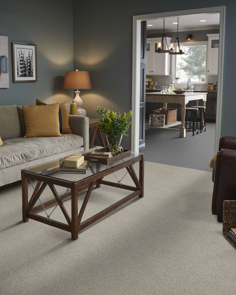 Shaw E9639 Basic Rules Platinum | Carpet Exchange