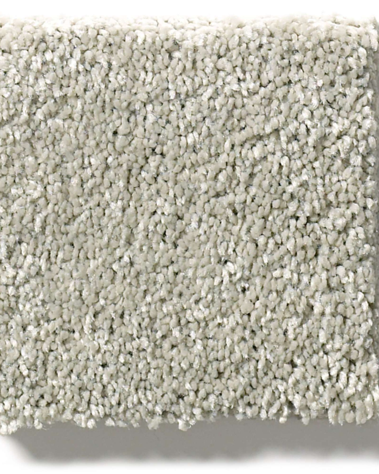 Shaw E9639 Basic Rules Platinum | Carpet Exchange