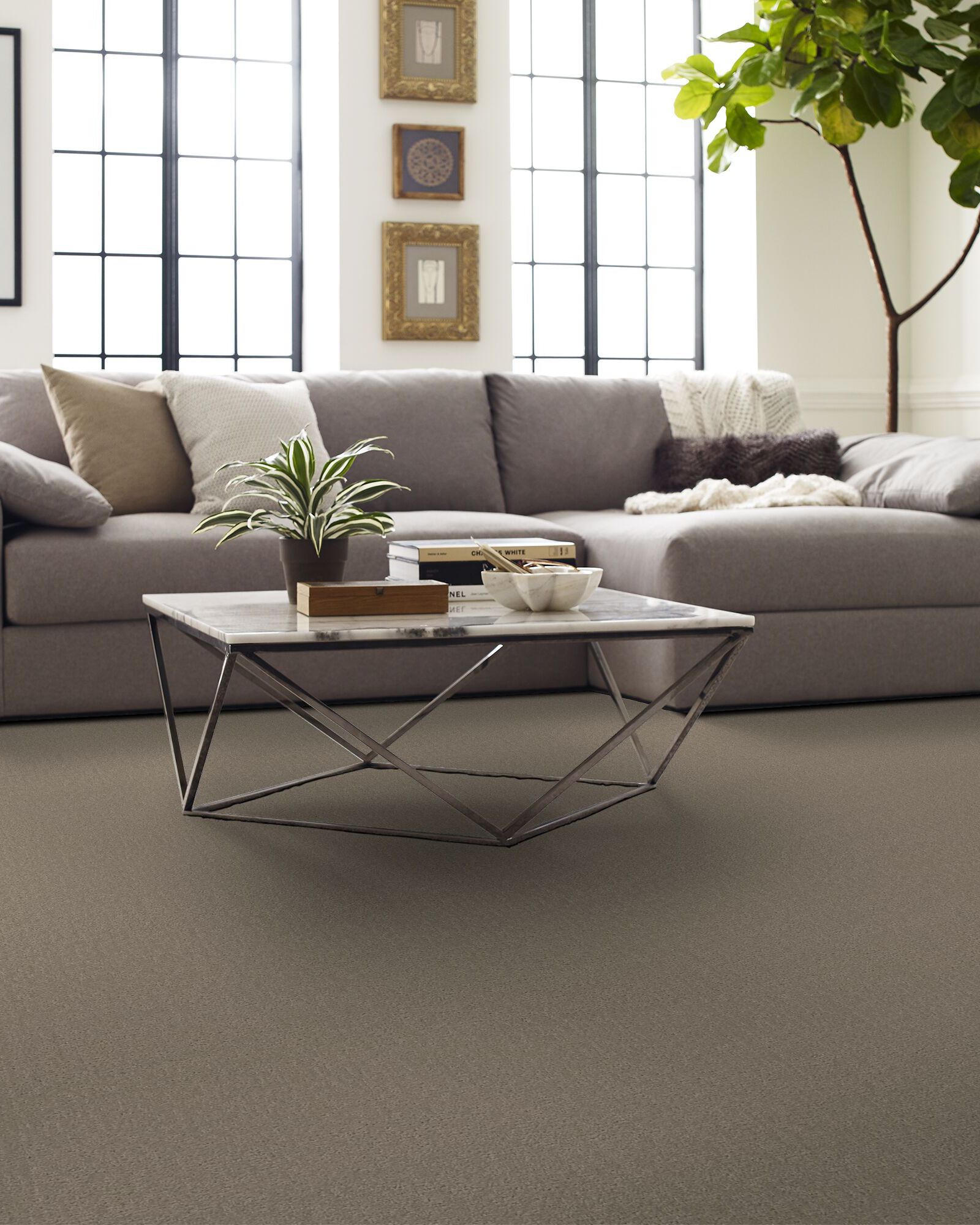 Shaw Canvas Comfort Dockside View | Carpet Exchange