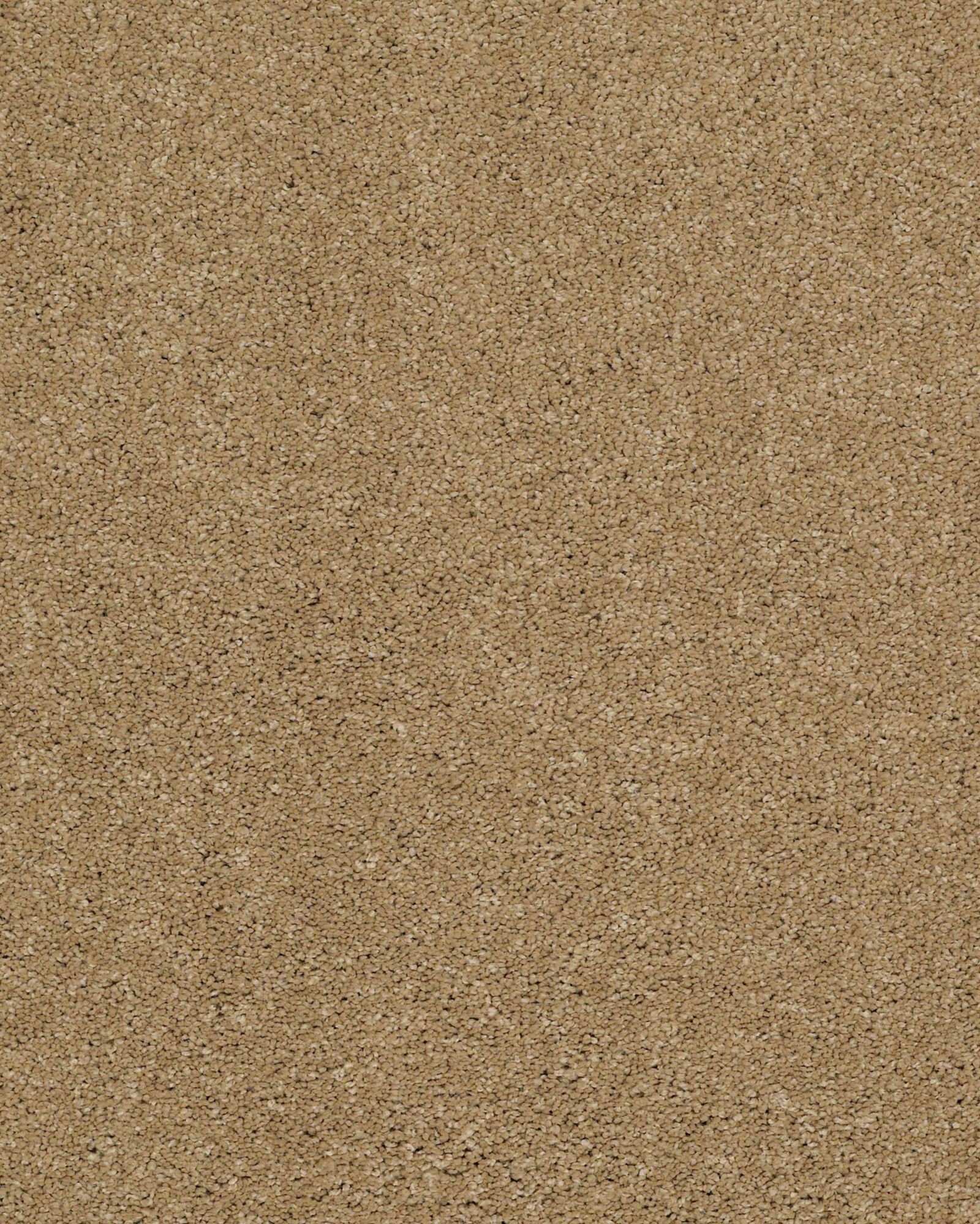 Shaw Cashmere Classic II Navajo | Carpet Exchange