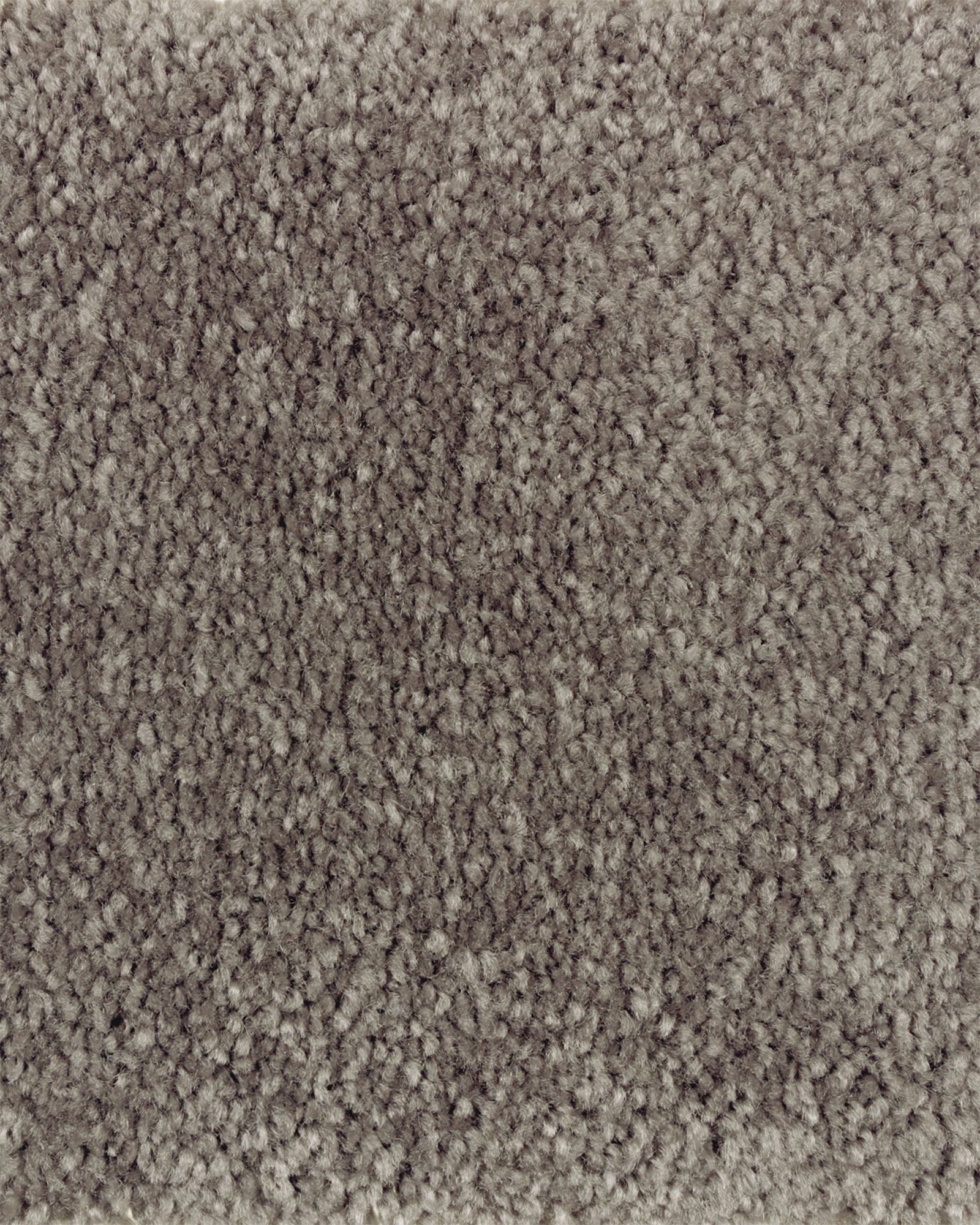 Mohawk Clever Fashion III Night Phantom | Carpet Exchange