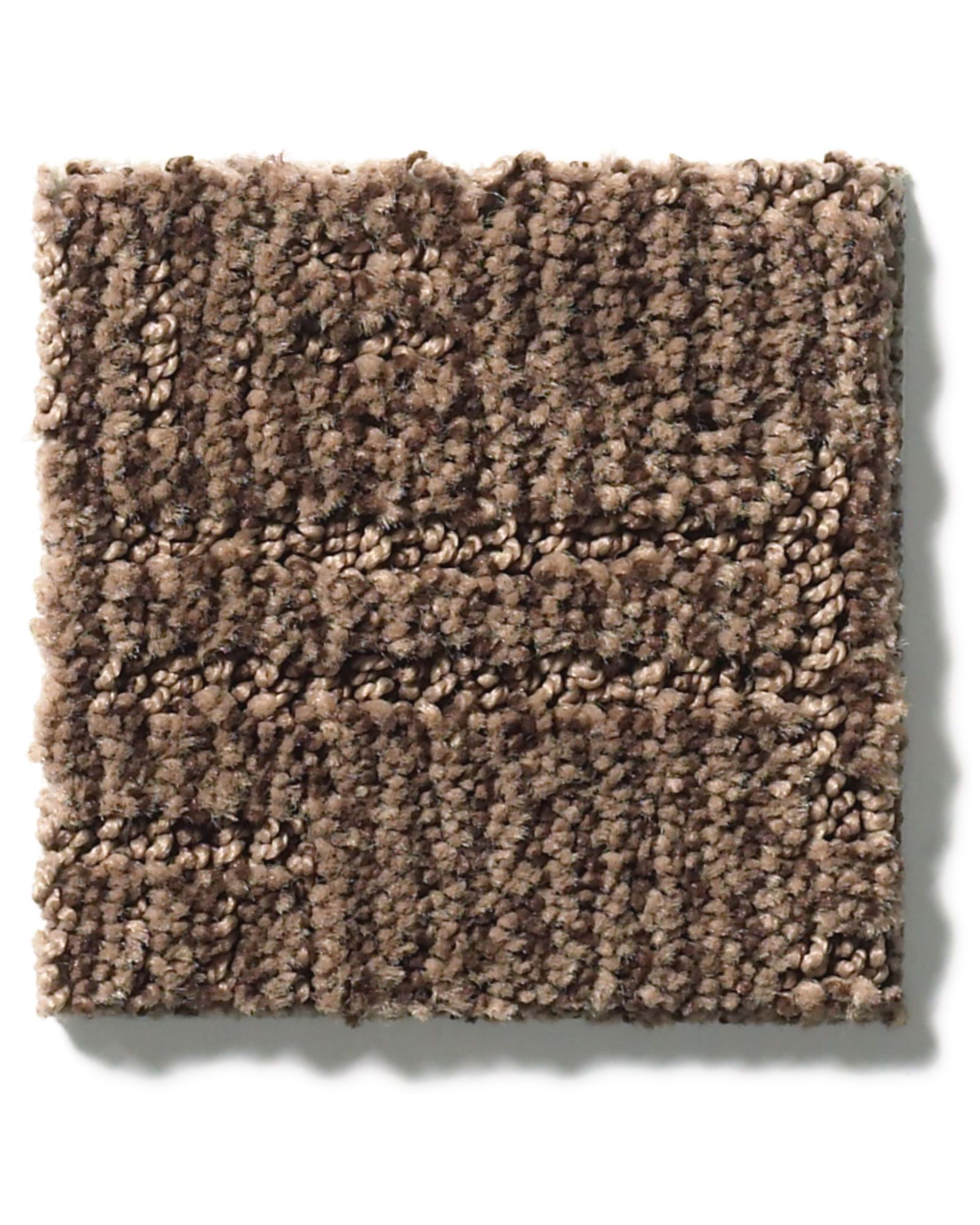 Anderson Tuftex Diego Fallen Timber | Carpet Exchange