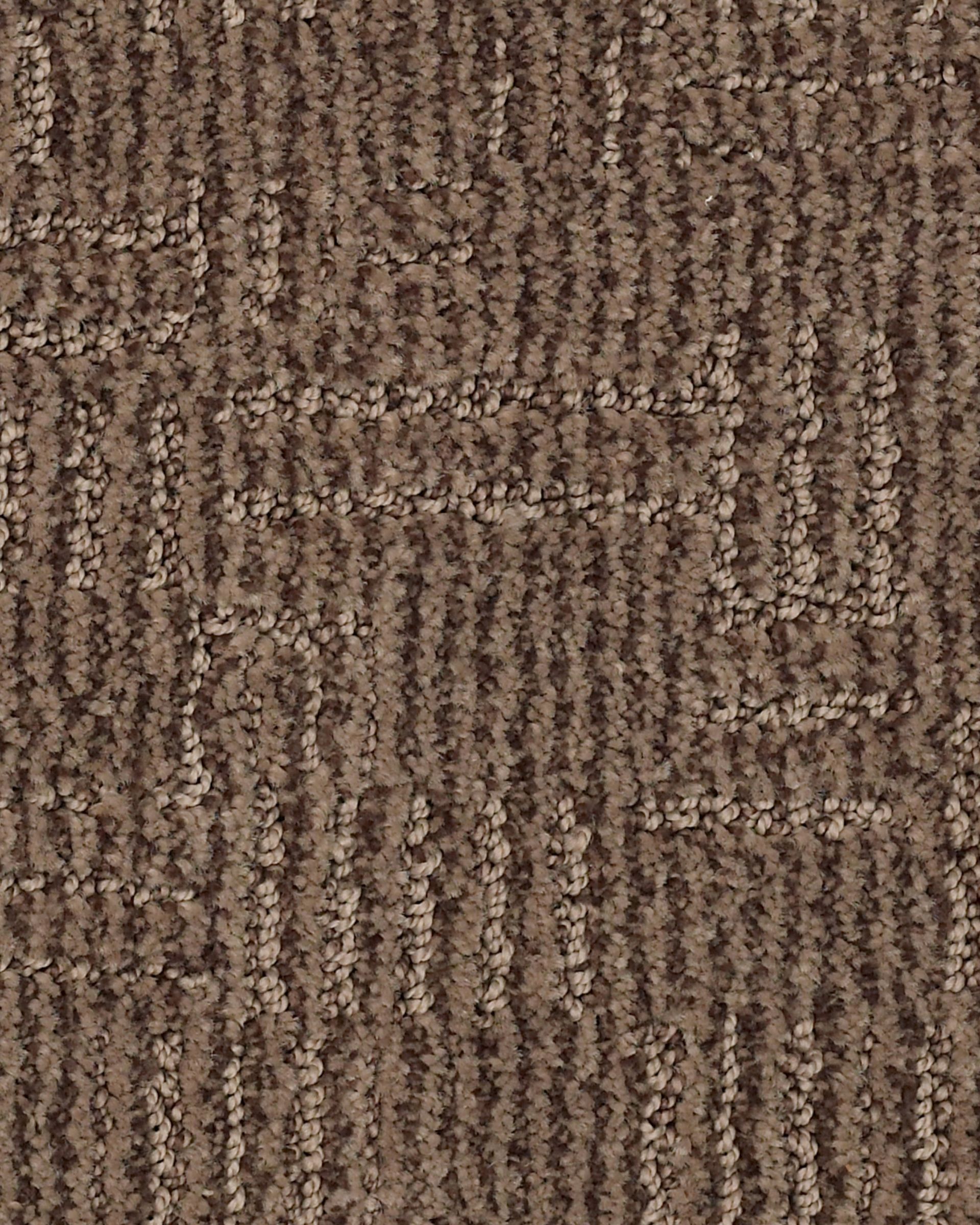 Anderson Tuftex Diego Fallen Timber | Carpet Exchange