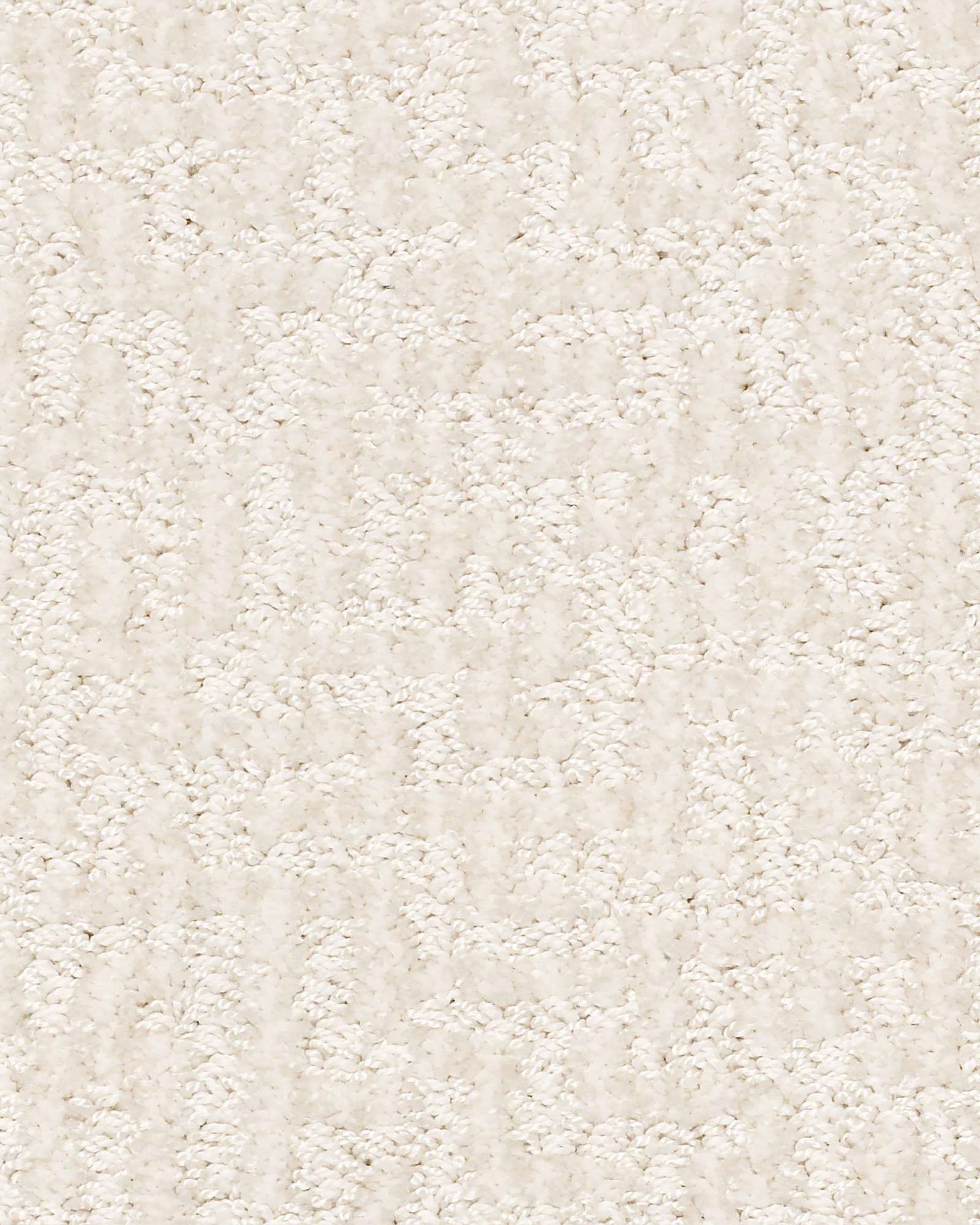 Shaw E9970 Emergence Snow Fall | Carpet Exchange