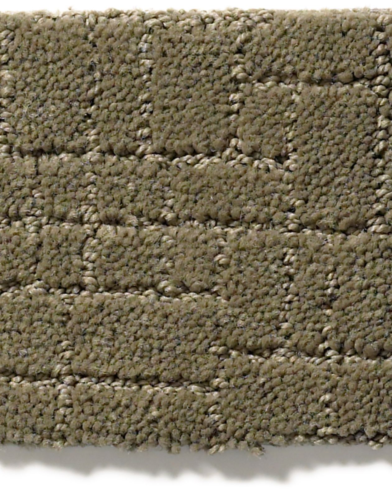 Anderson Tuftex Faux Paw Dry Sage | Carpet Exchange