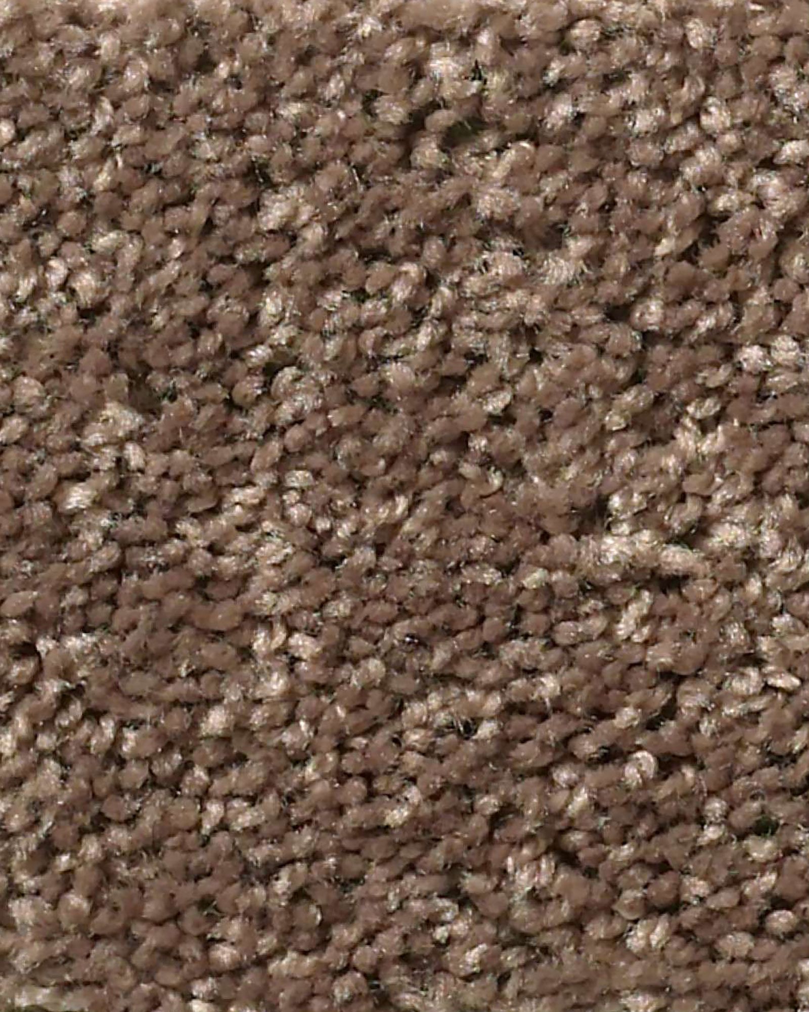 Shaw Full Court Cattail | Carpet Exchange