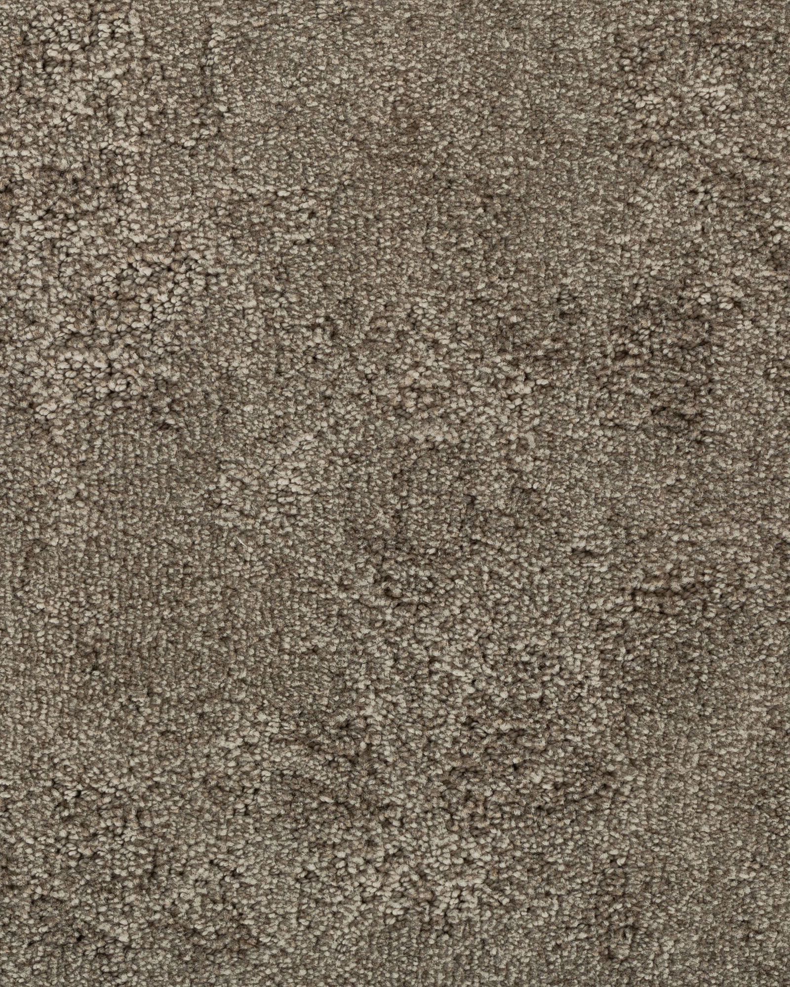 Karastan Graceful Balance Mink - Carpet Exchange