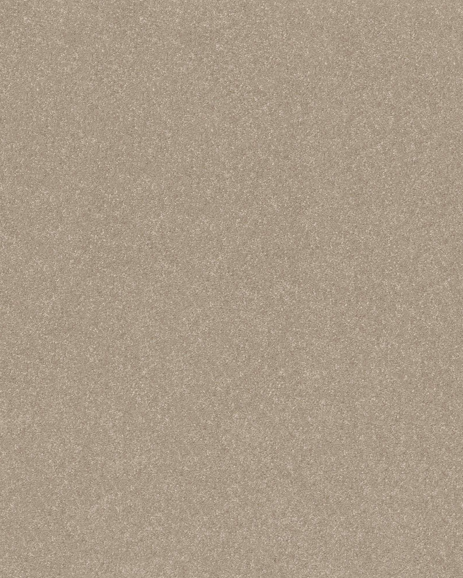 Shaw Hard At Play II Subtle Clay | Carpet Exchange
