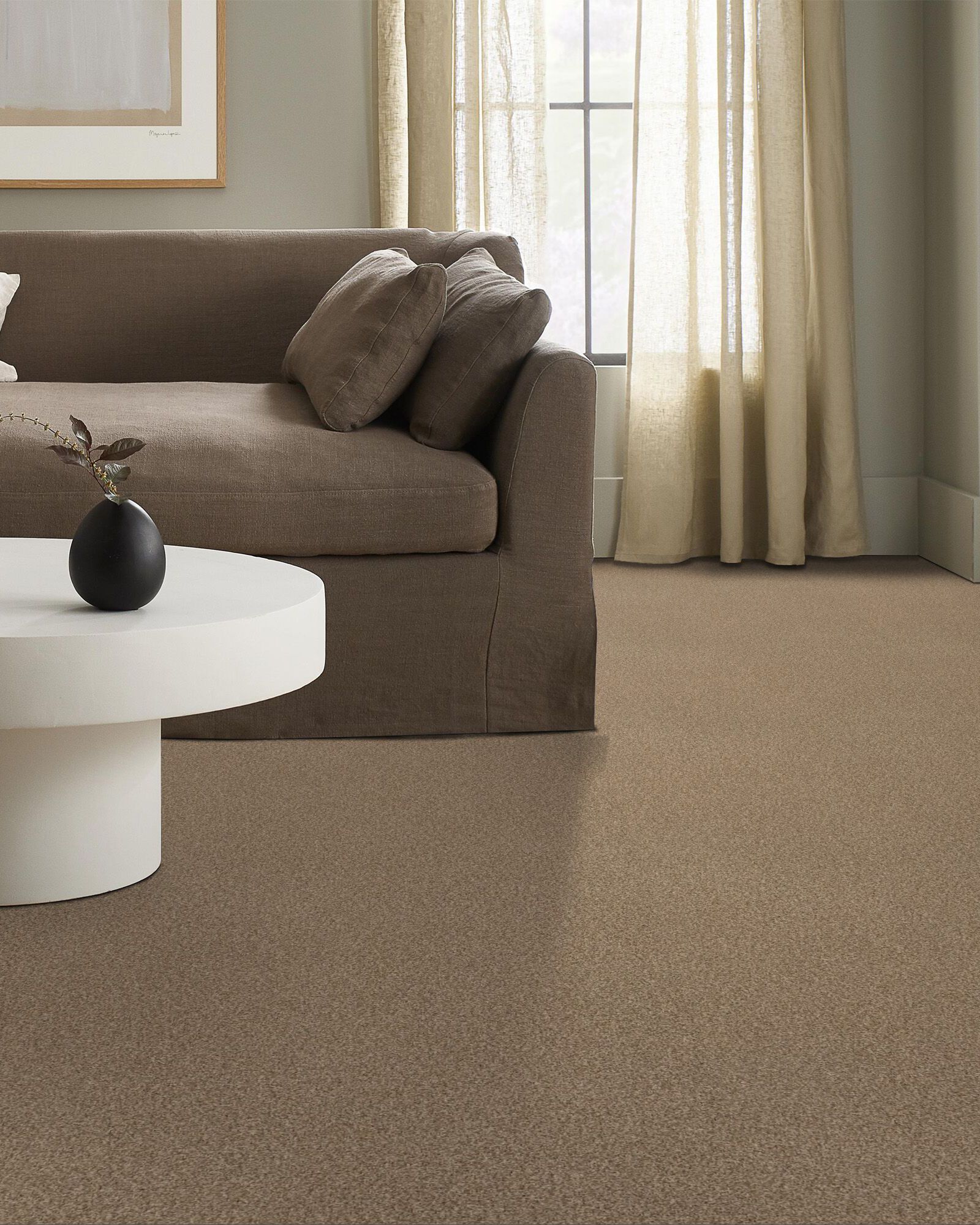 Anderson Tuftex Impressions Hazel | Carpet Exchange