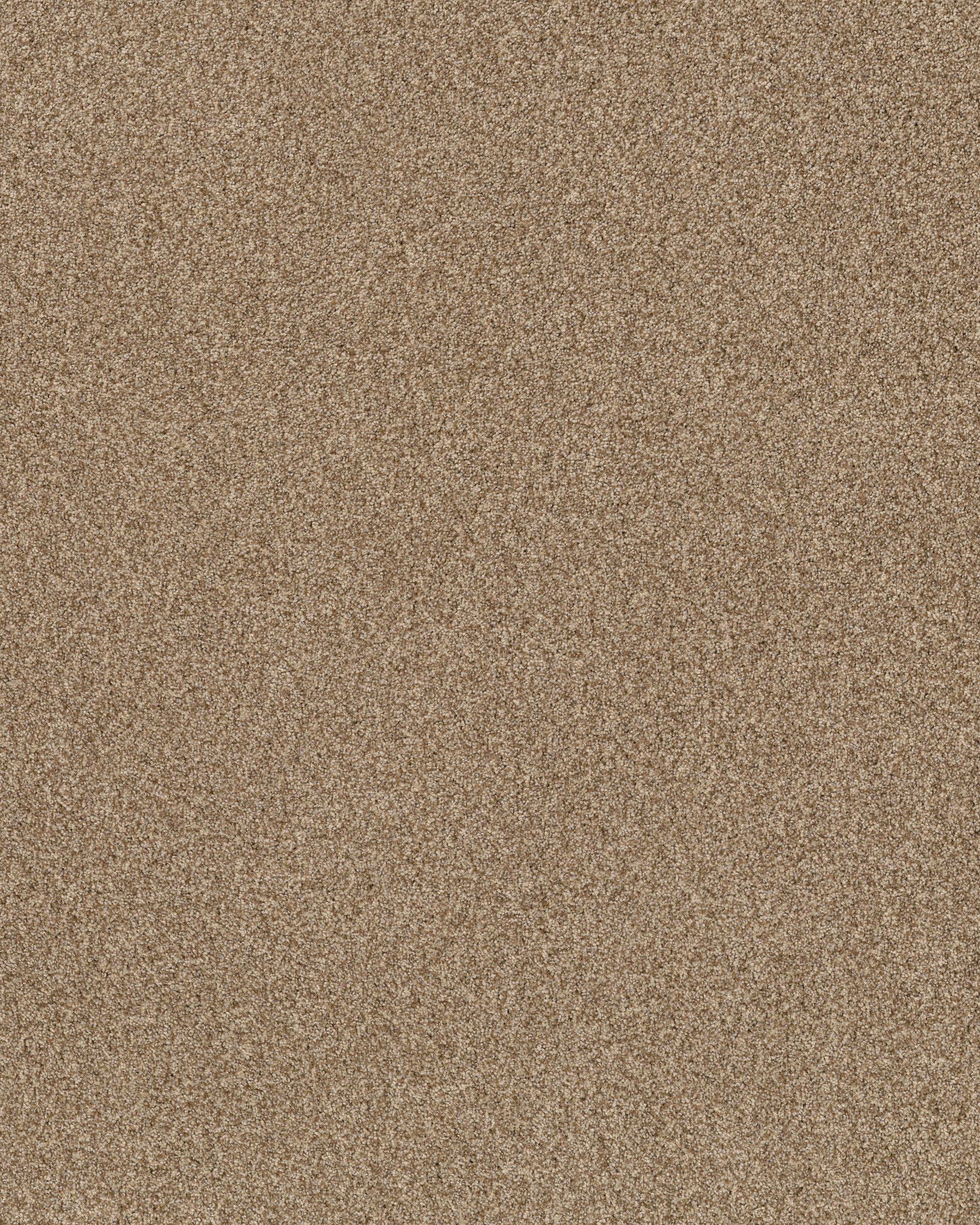 Anderson Tuftex Impressions Hazel | Carpet Exchange