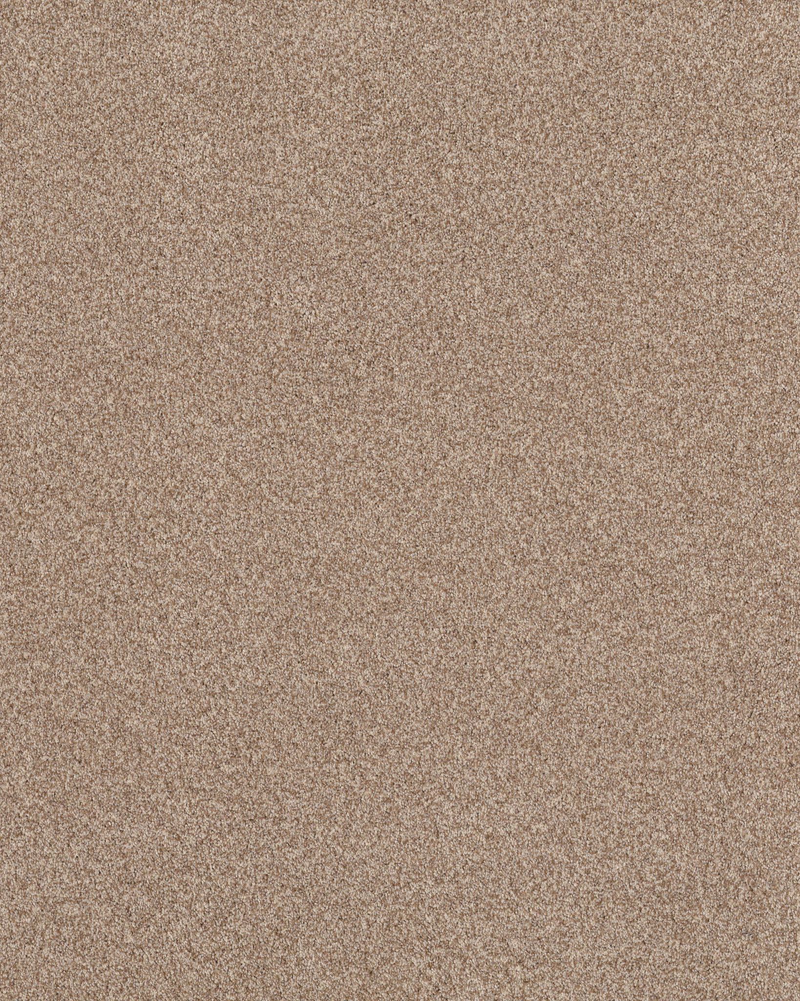 Anderson Tuftex Impressions Potter's Clay | Carpet Exchange