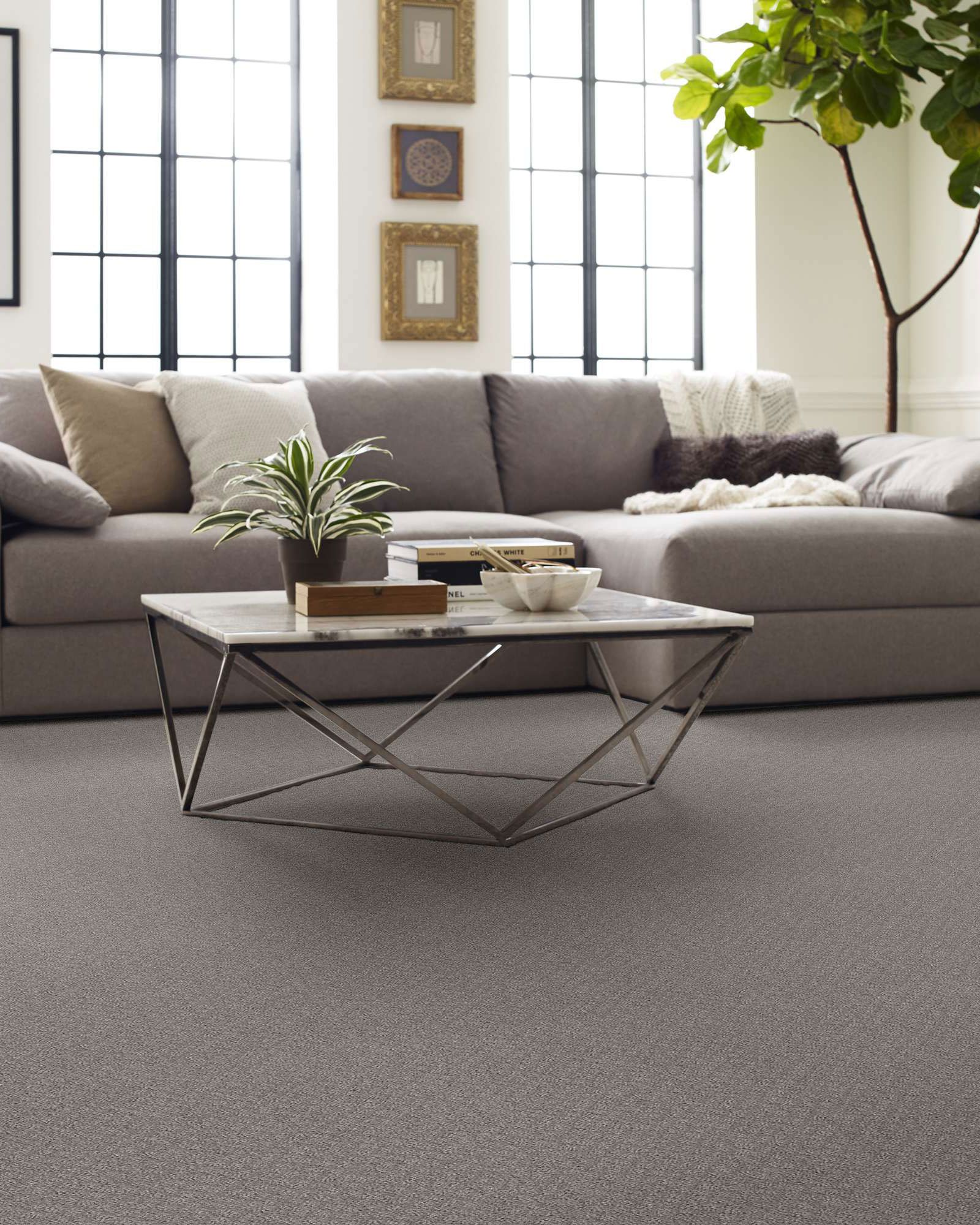 Shaw In Style Silver Lining | Carpet Exchange