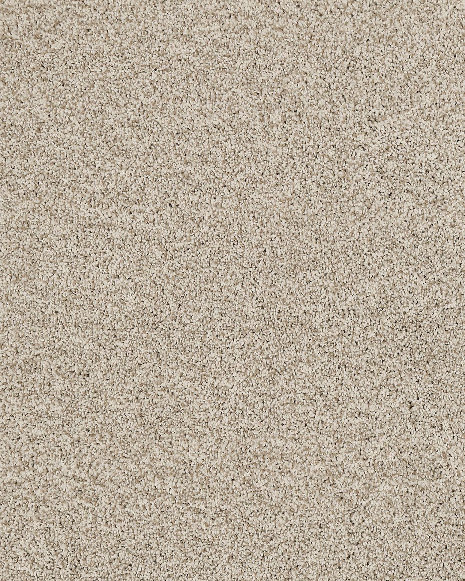 Karastan Artisan Elements Bare Necessities | Carpet Exchange