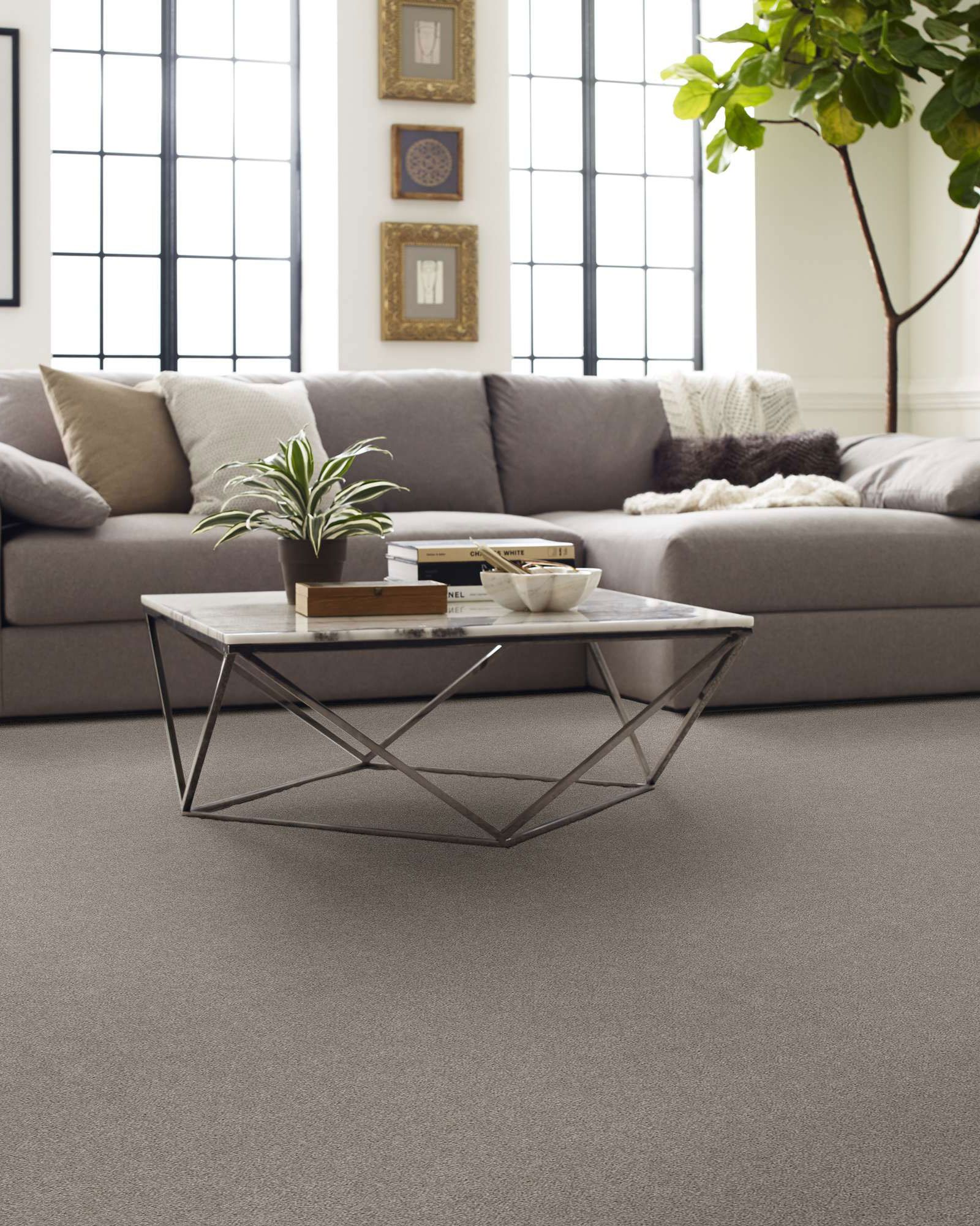 Shaw Keystone II Baltic Stone | Carpet Exchange