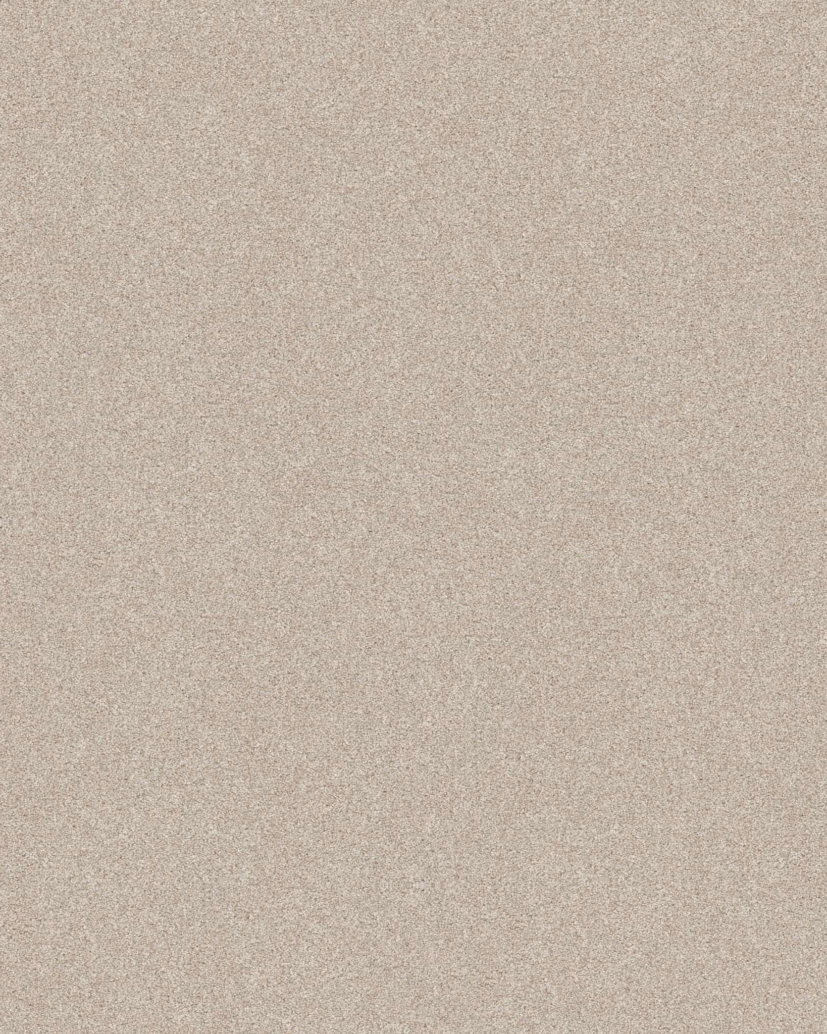 Shaw Keystone II Champagne Toast | Carpet Exchange Shaw Keystone II Champagne Toast | Carpet Exchange
