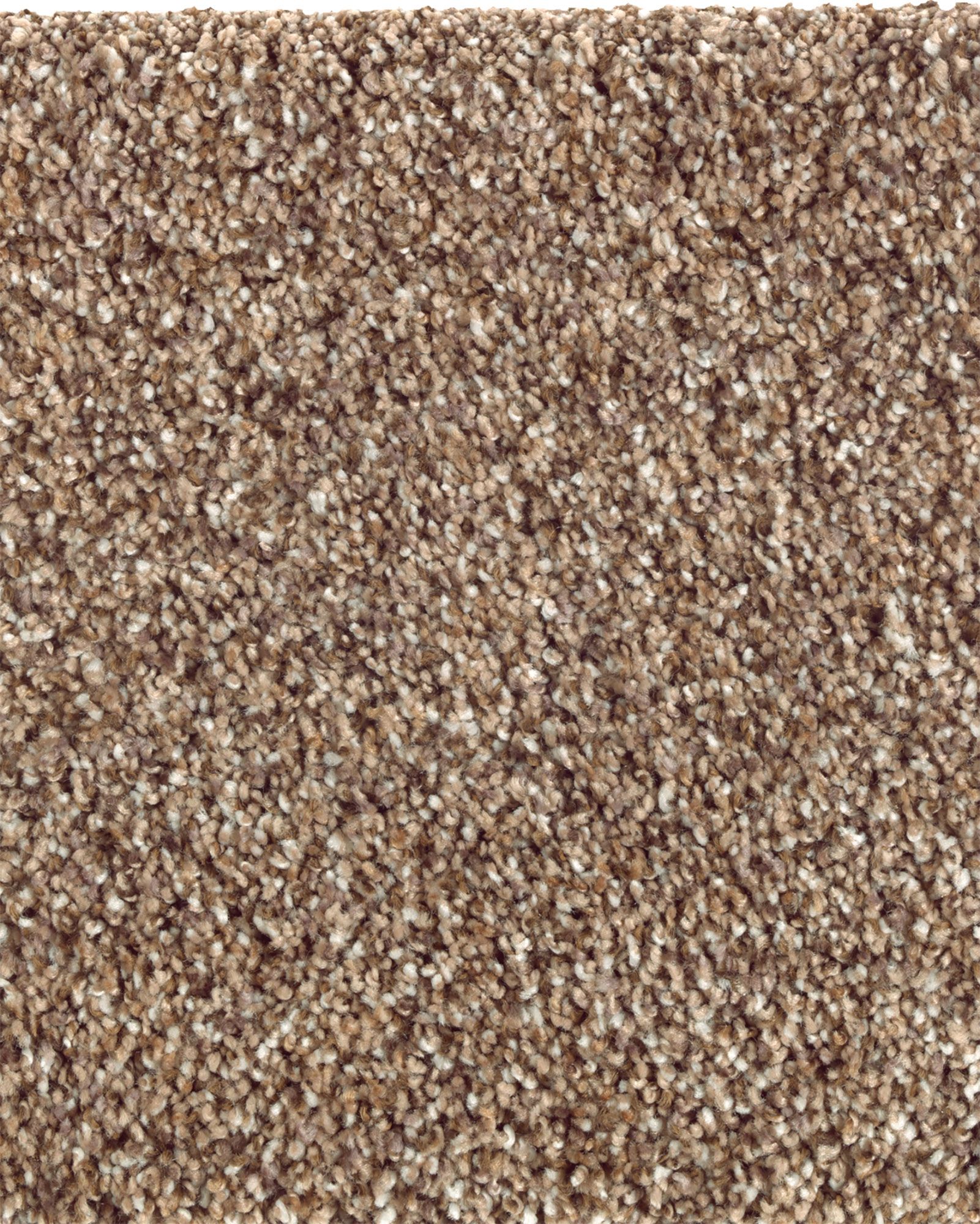Mohawk Natural Beautiful II Fallen Timber | Carpet Exchange